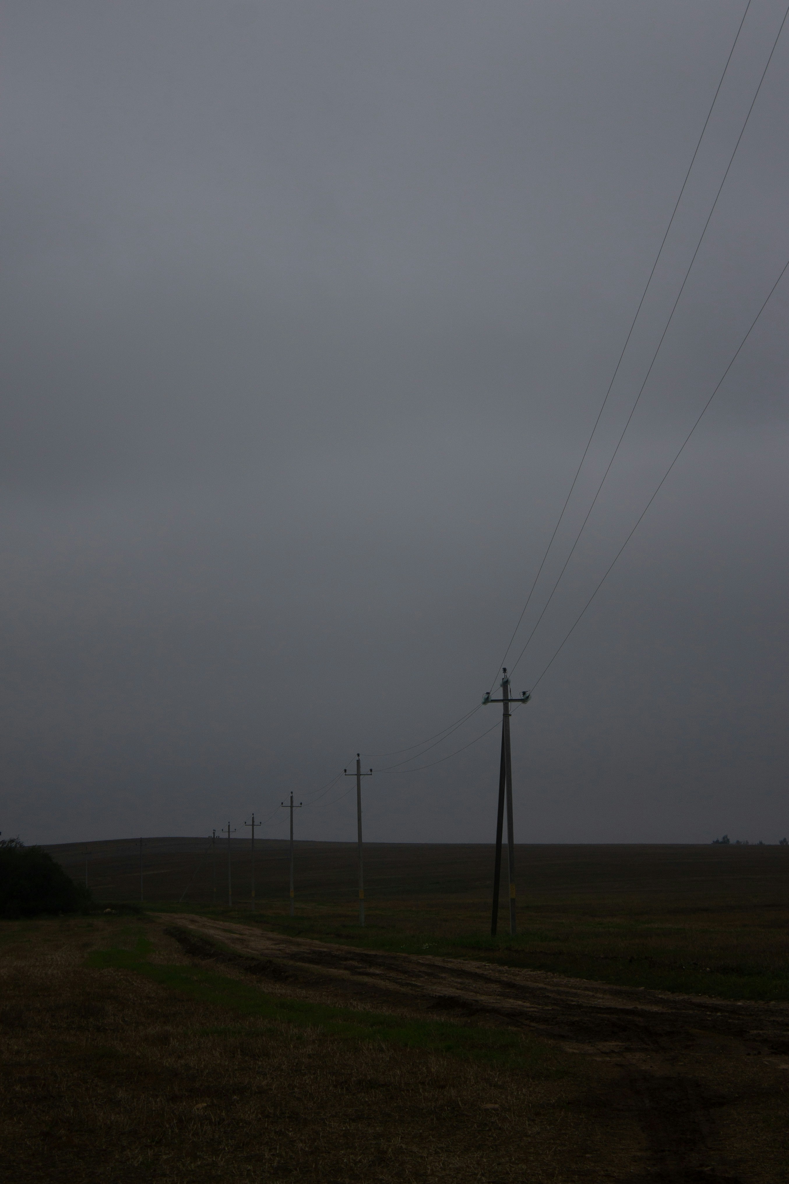 Powerline Horizon: A Quiet Road to the Distant Plains