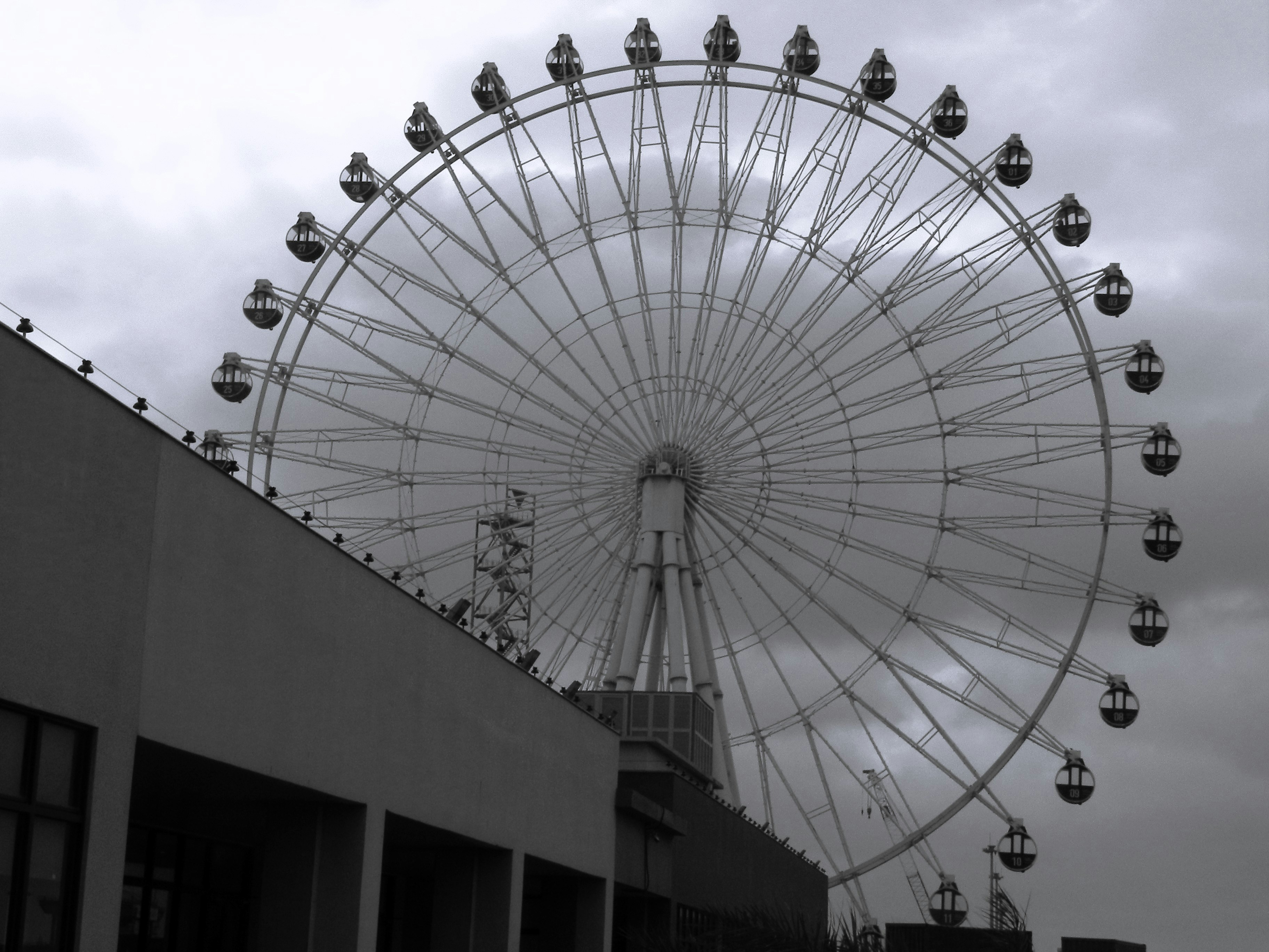 Monochrome capture of a massive ferris wheel towering over a modern building, emphasizing geometric lines and urban scale.