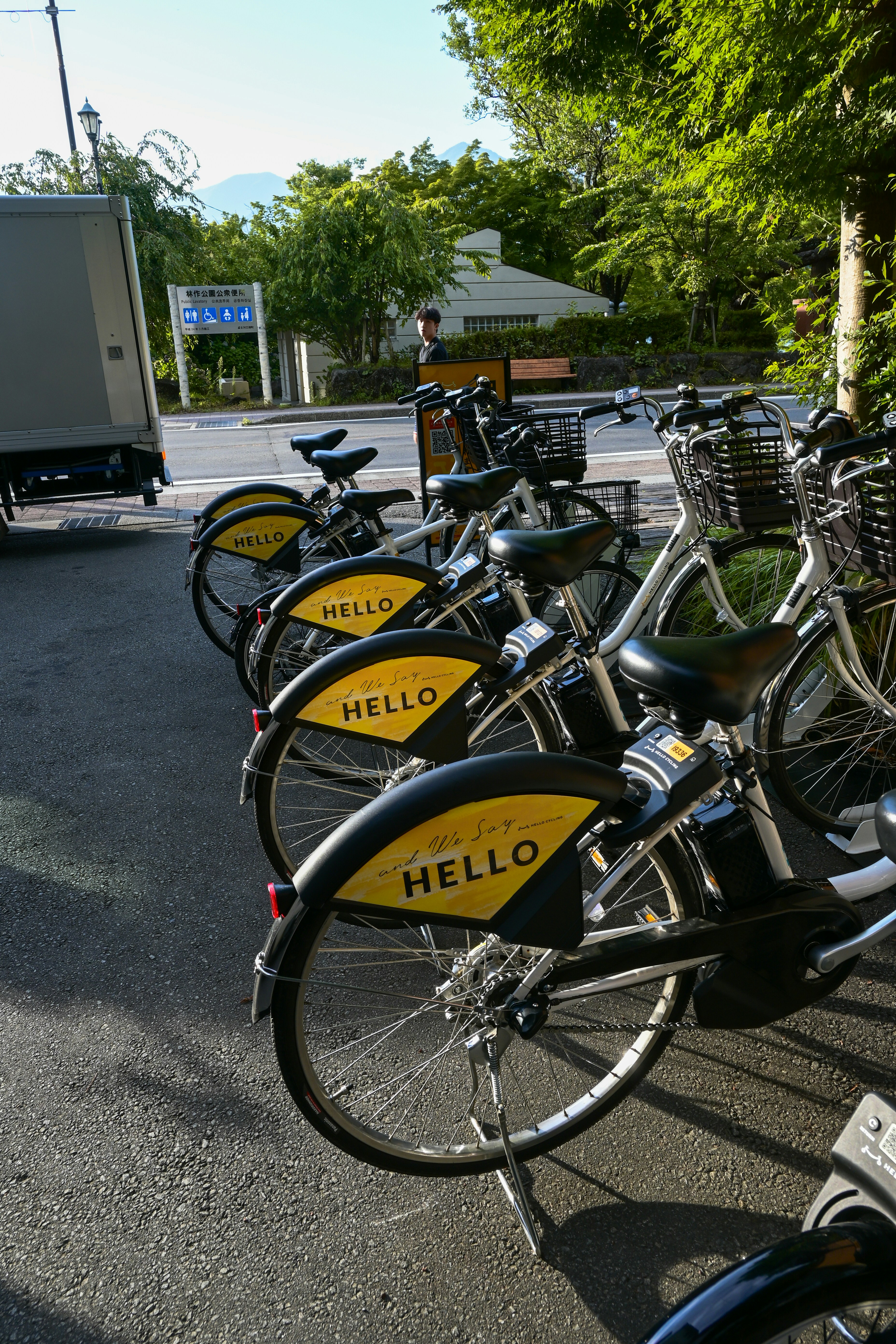 Hello Wheels: A Line of Shared Bicycles Under Dappled City Shade
