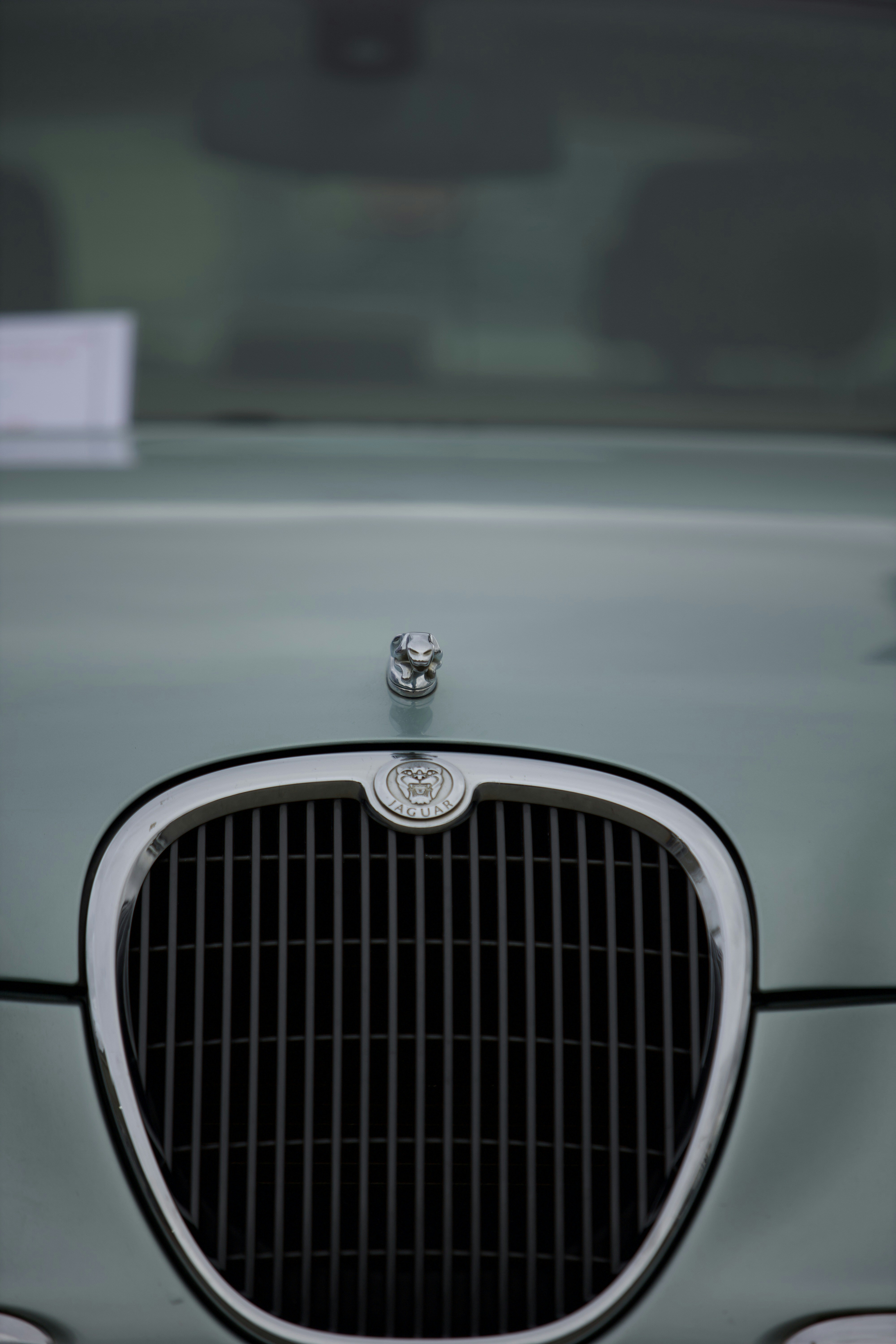 Minty Grille Spotlight: A Classic Jaguar Charm Framed by Soft Focus