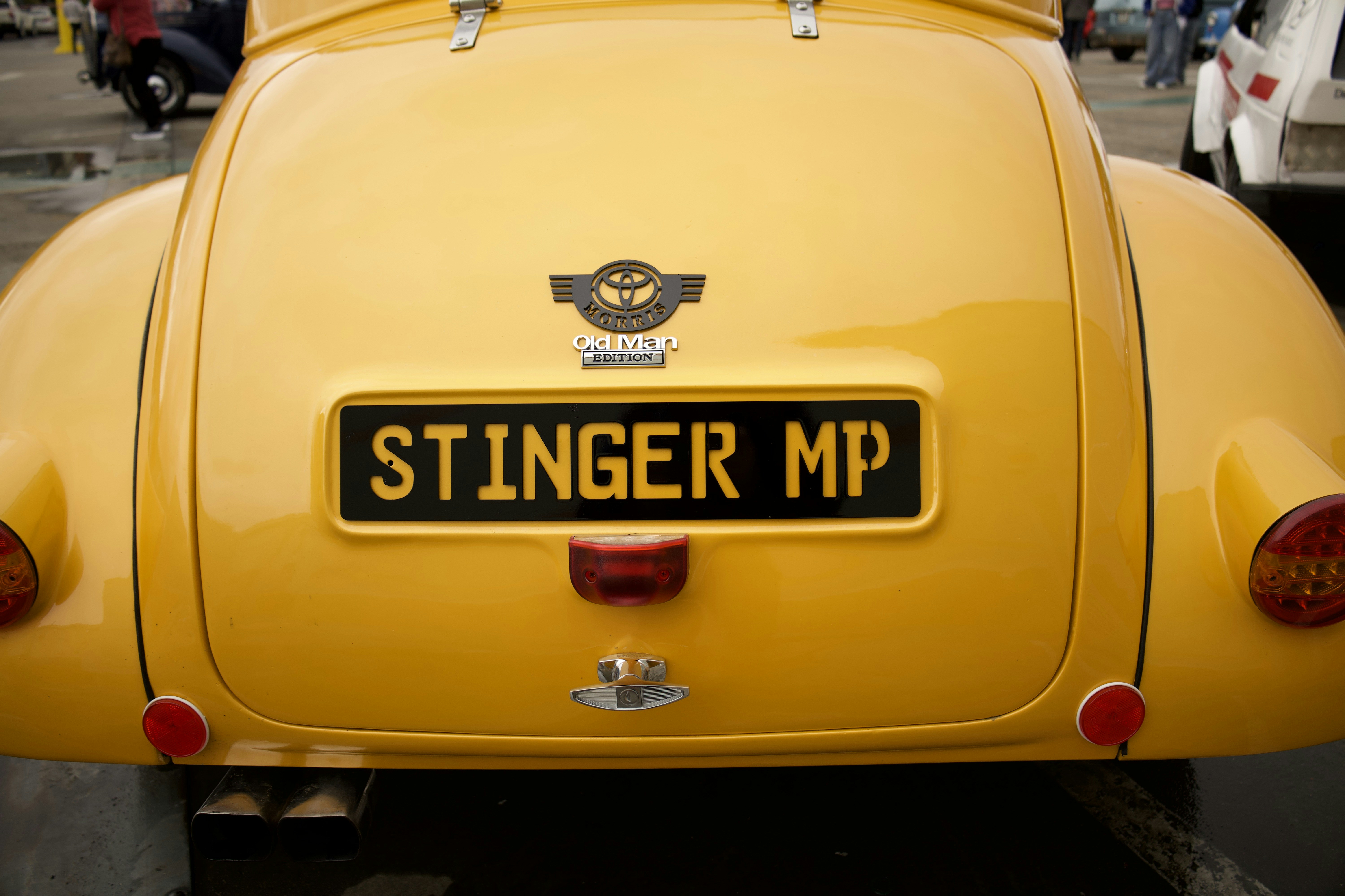 Sunlit Stinger: A Bold Yellow Classic from the Rear