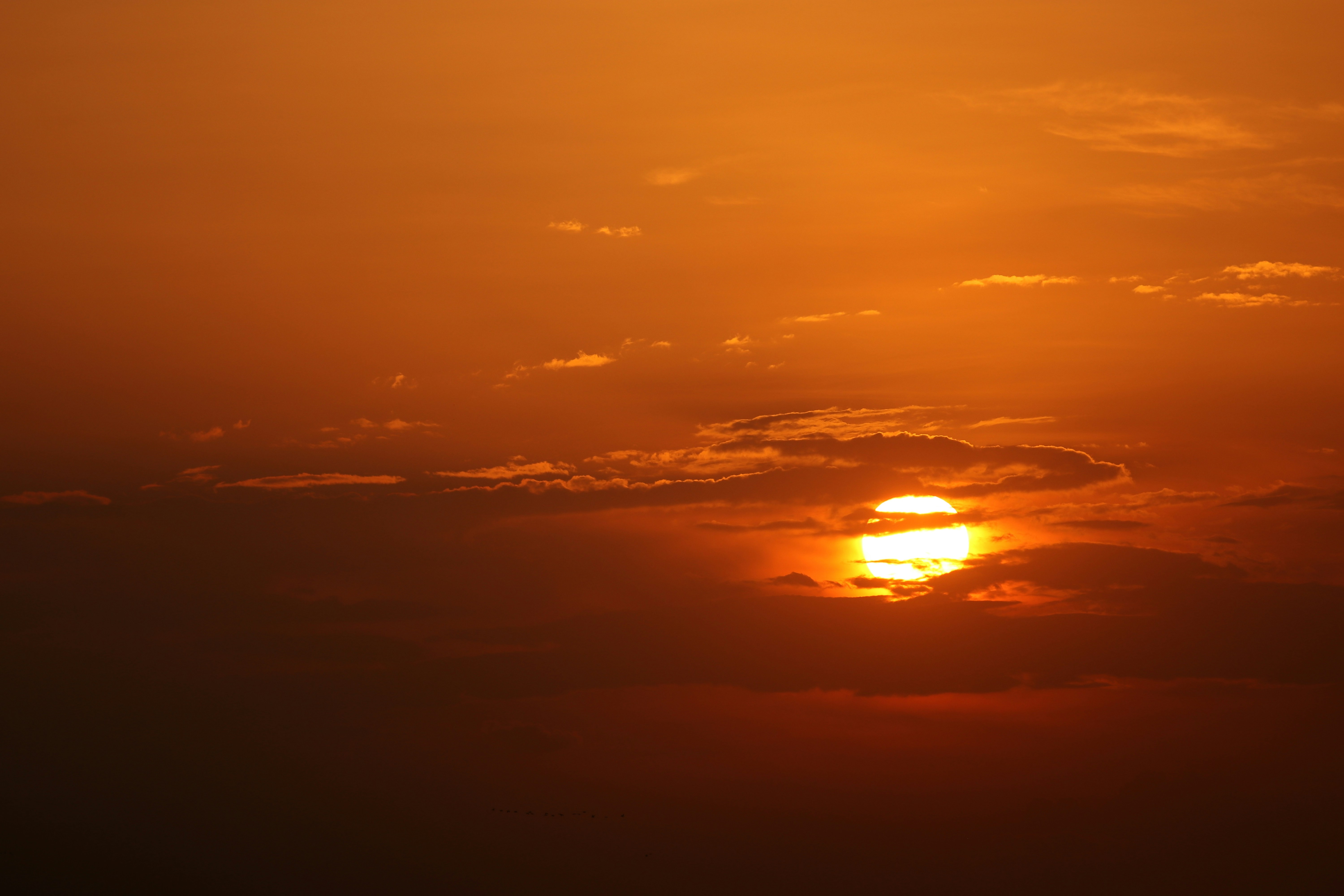 Sunkissed Horizon: The Quiet Descent of Sun Over a Velvet Sky