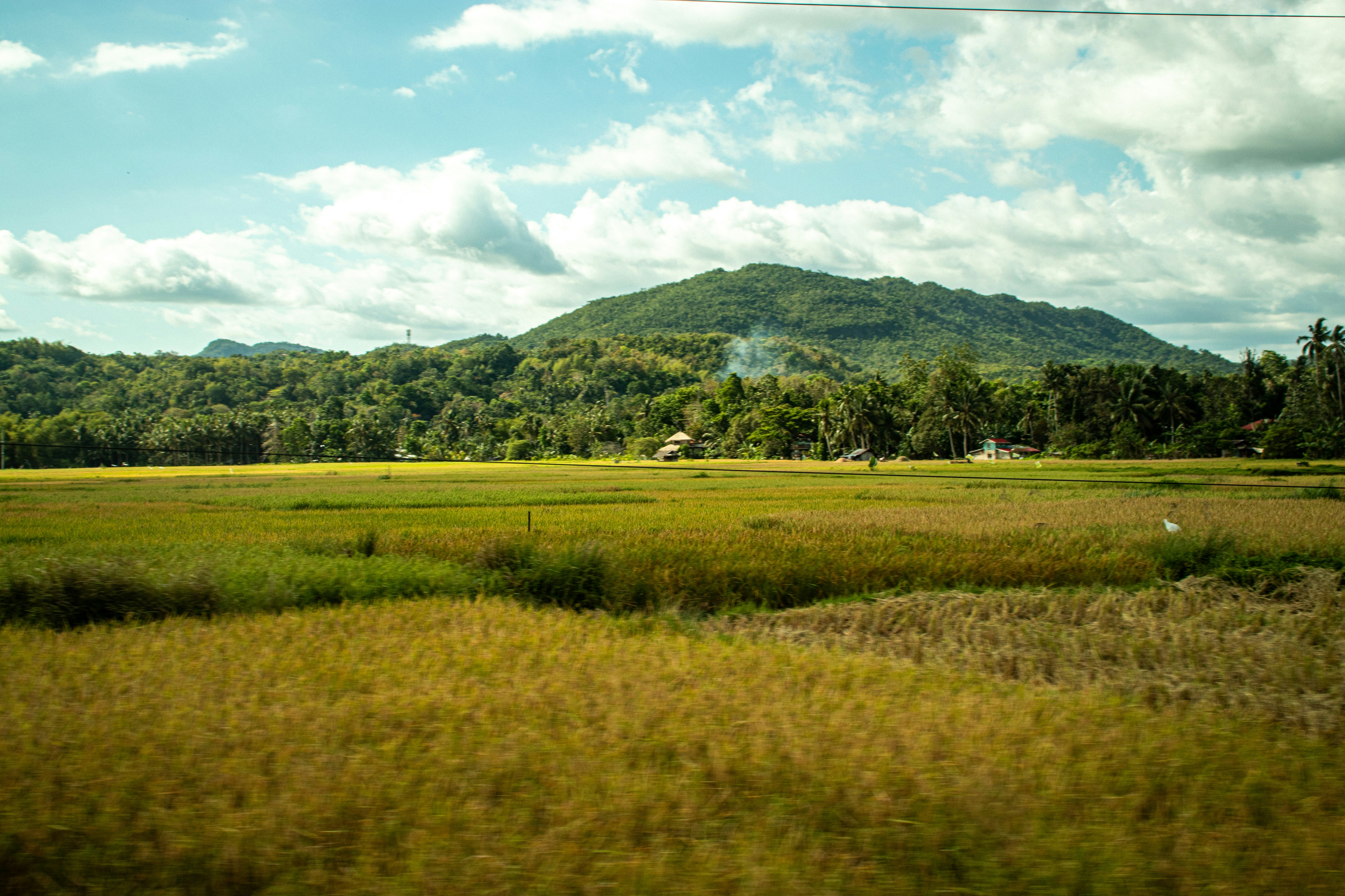Golden Field in the Shadow of a Hill