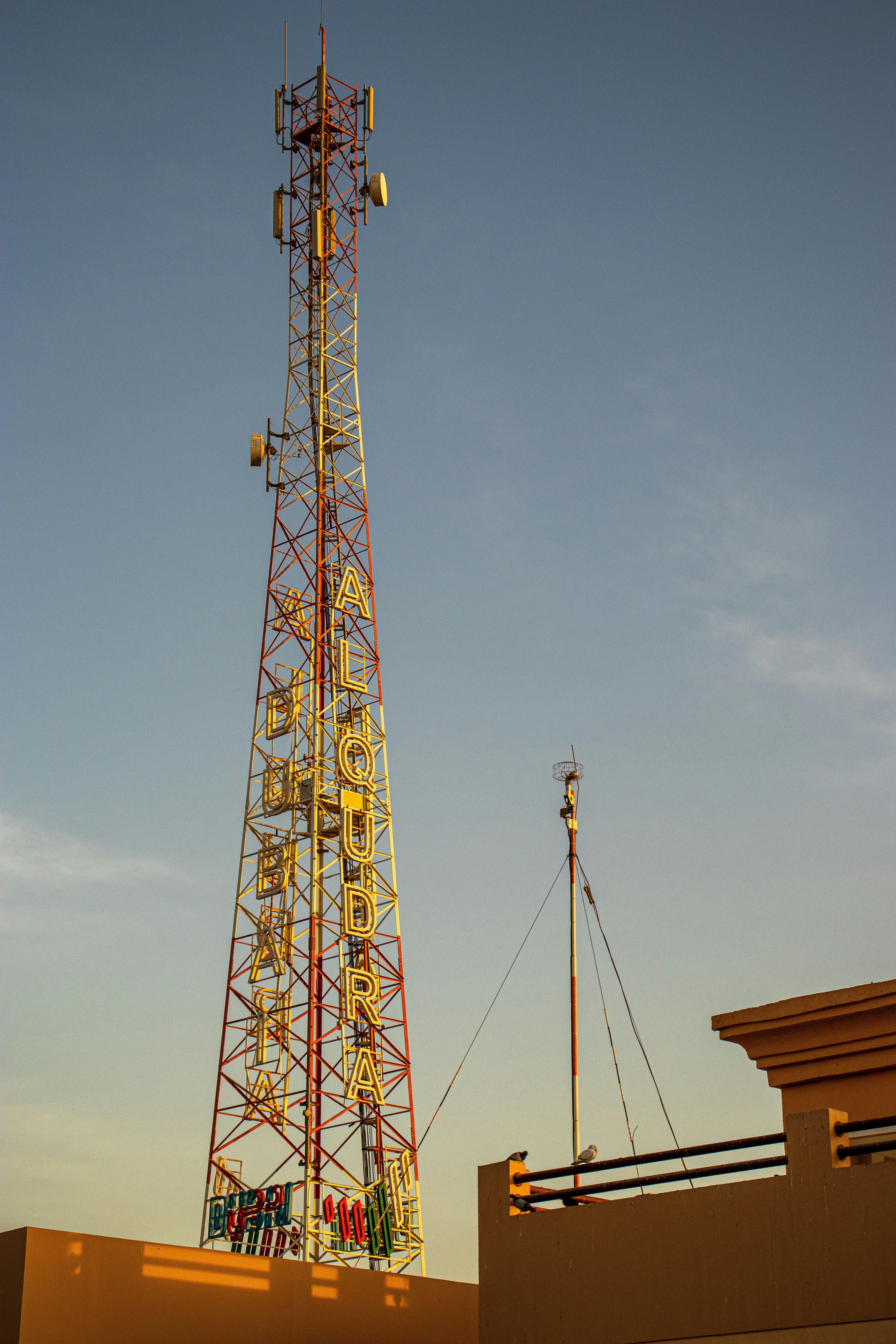 Neon Signal Tower rising above a sunlit rooftop