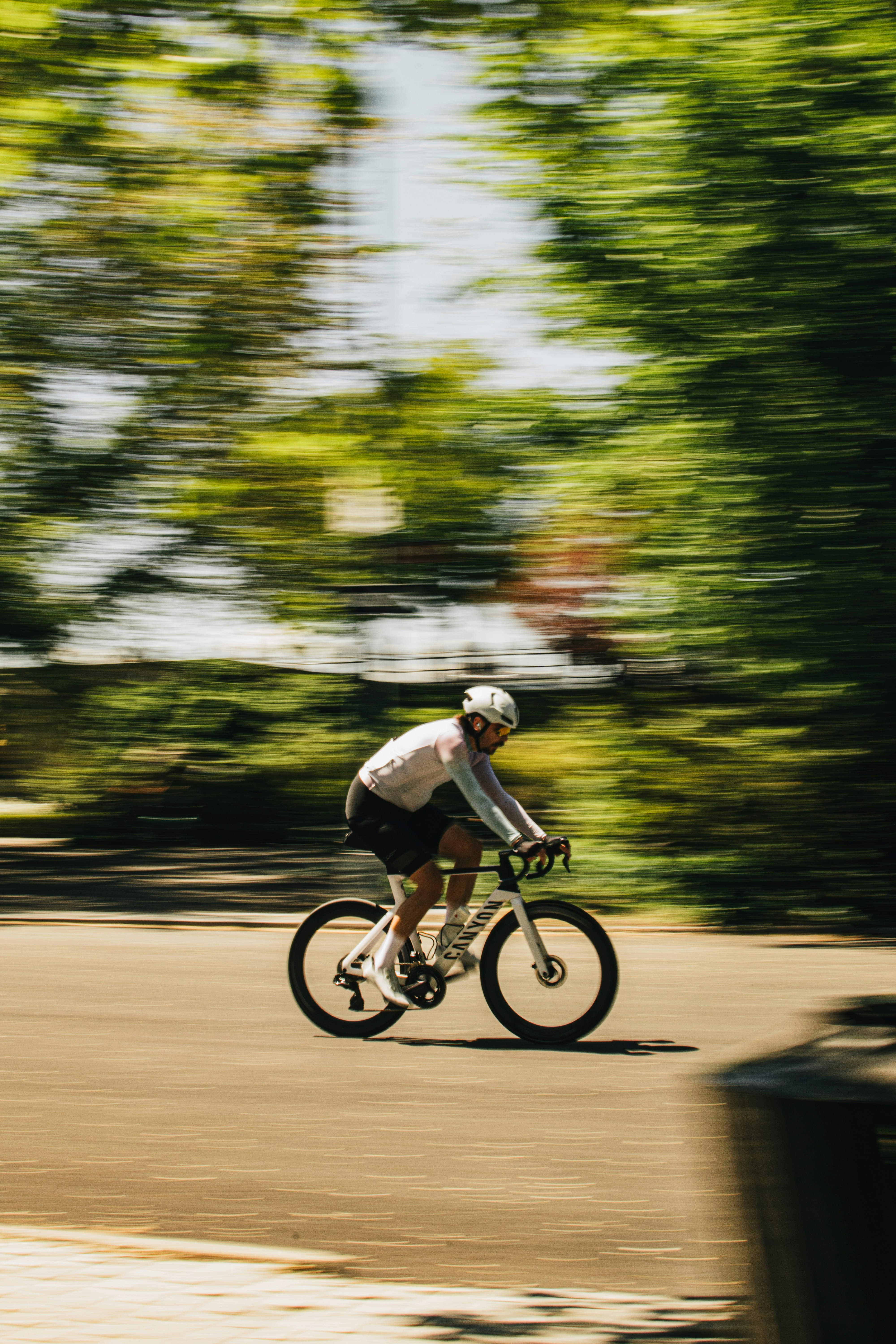 Blurred motion of a cyclist riding along a tree-lined road, foreground and background melting into speed, capturing a sense of rapid movement.