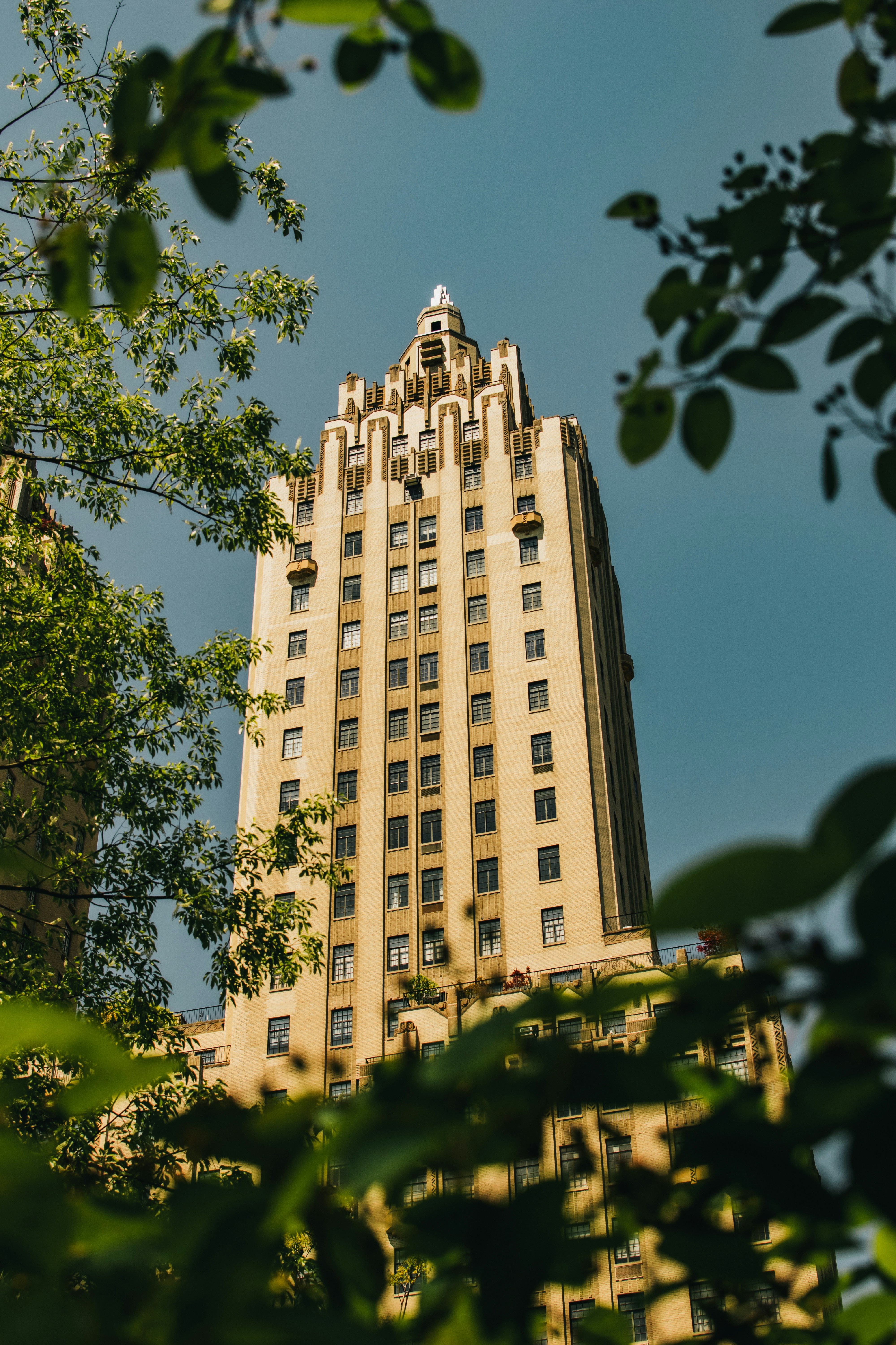 Framed Tower Reaching for Sky Amid Framing Foliage