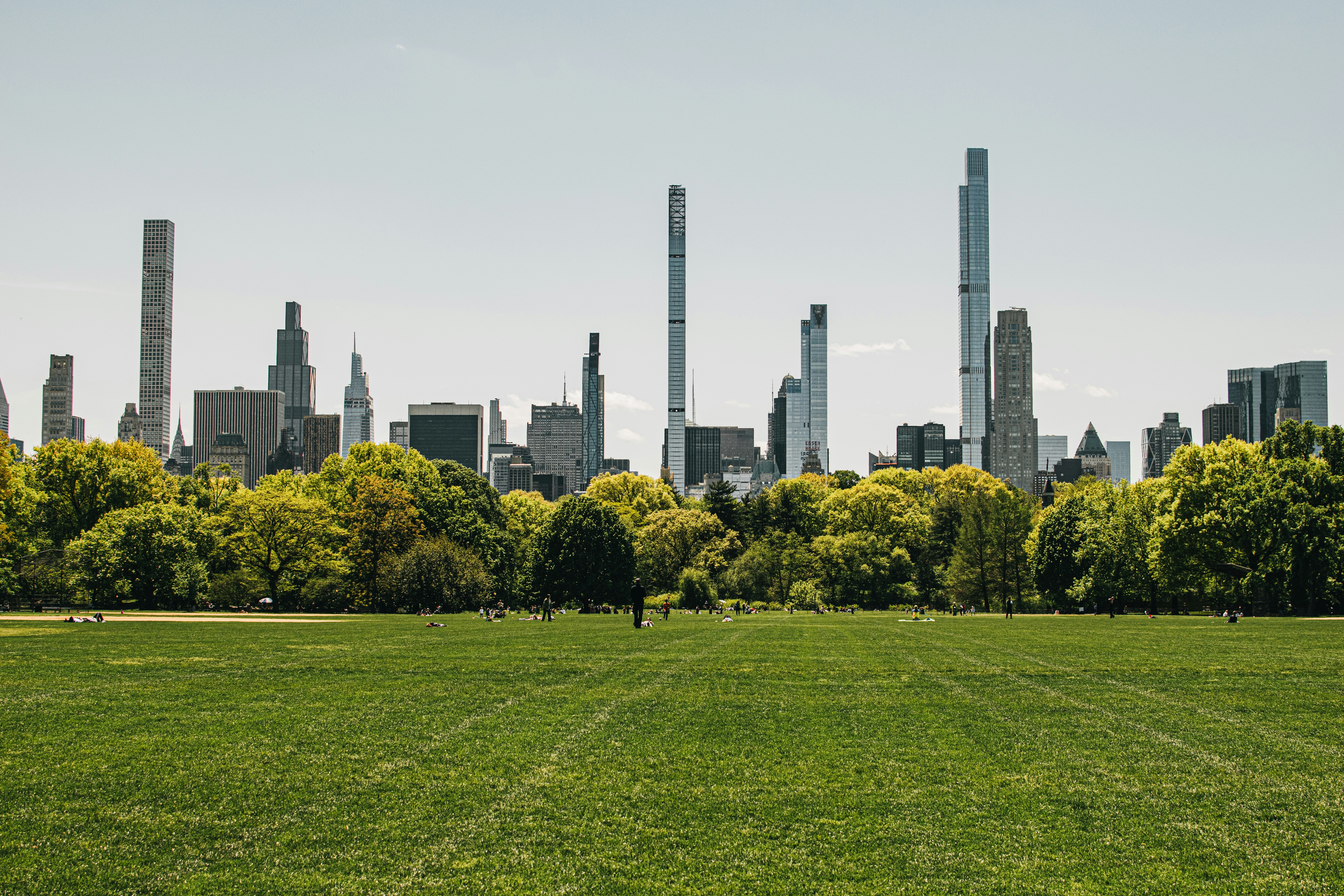 Cityline Dawn: Green Park Meets Skyscraper Silhouette