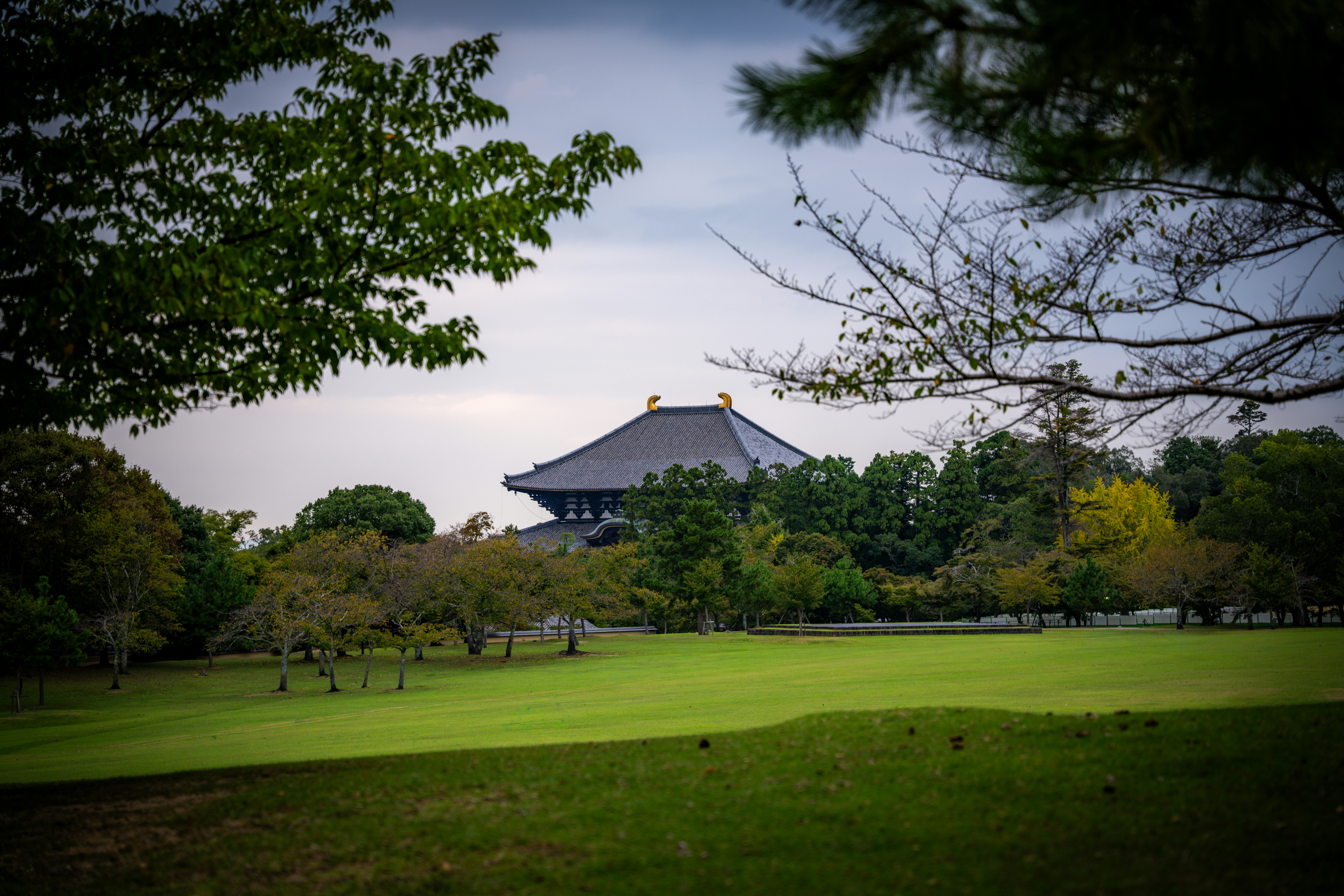 Temple in the Green Heart: A Pavilion Peeks Through the Park