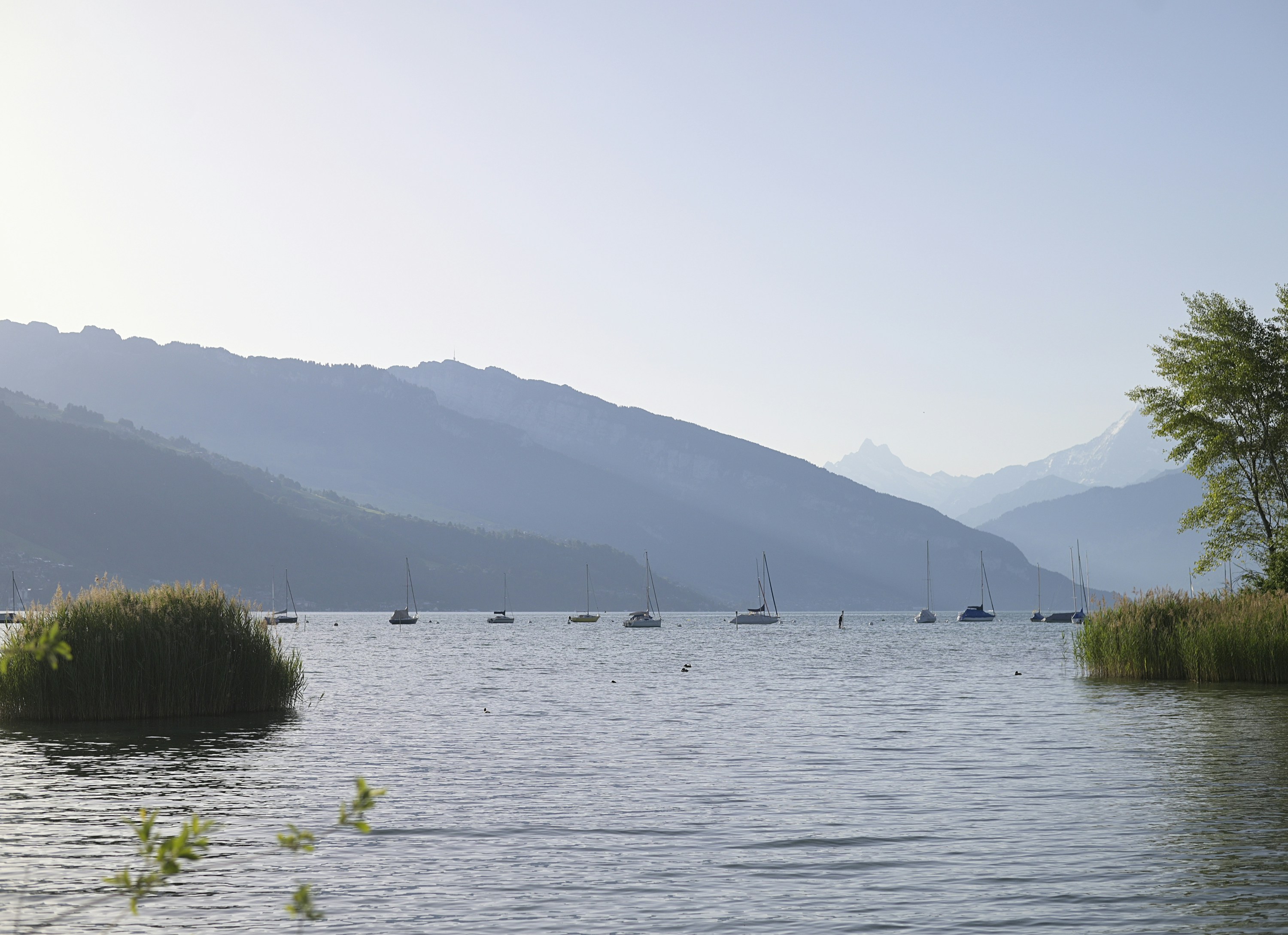 Serene Lake with Distant Sails and Mountain Backdrop