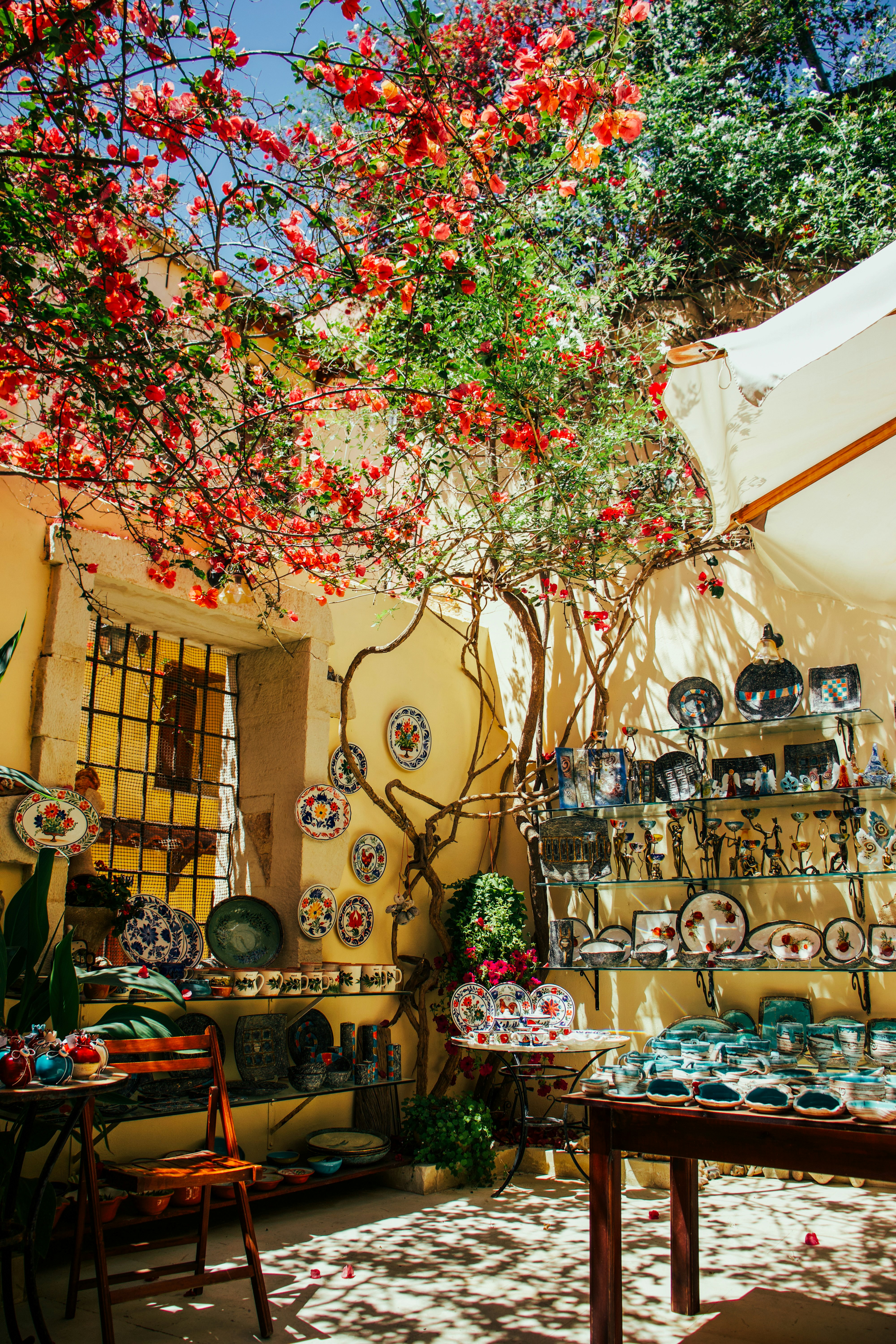 Sunlit Courtyard Still Life: A Ceramic Gallery Under Blooming Veranda
