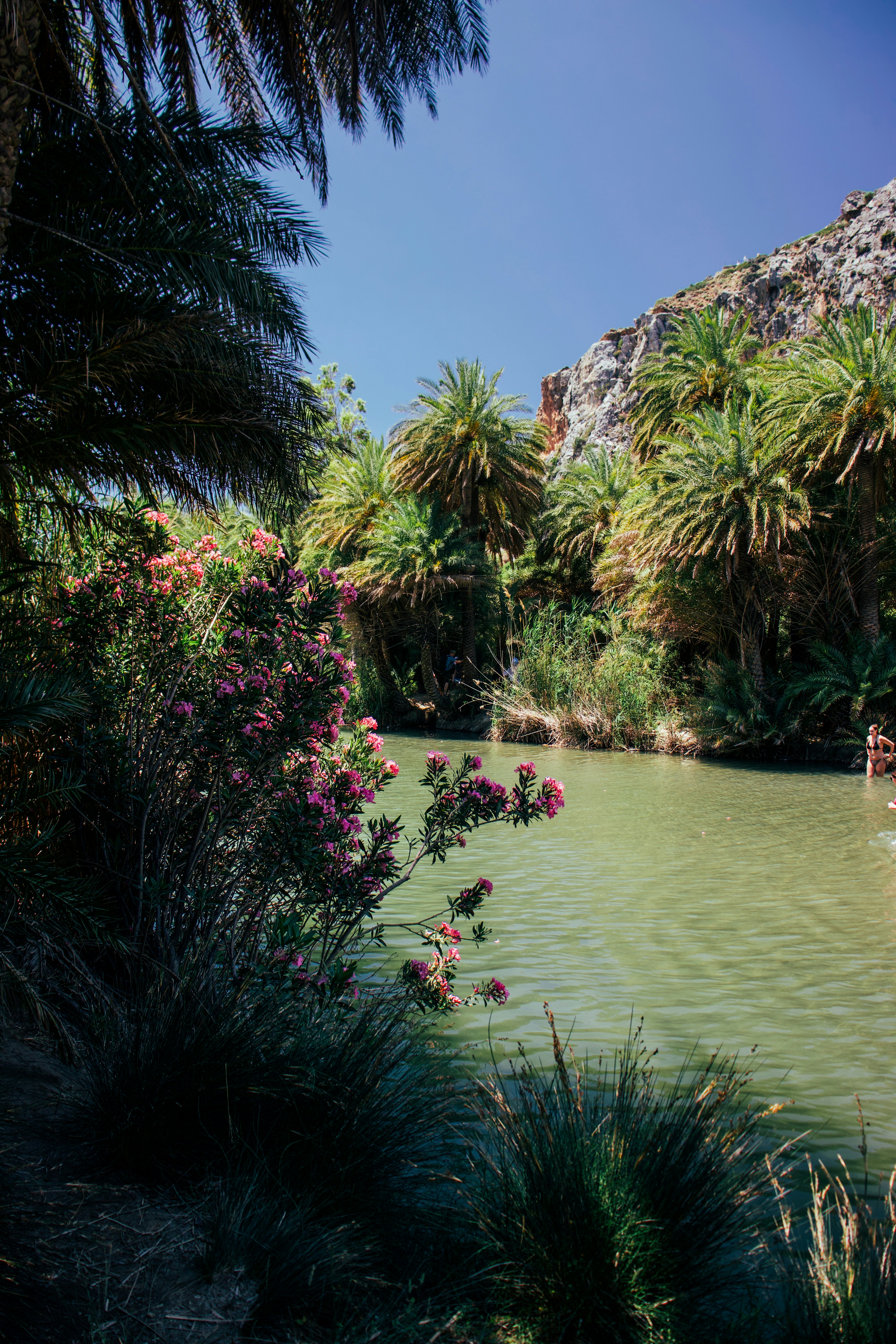 Oasis Against the Cliff: Palm Shade by a Quiet Lagoon
