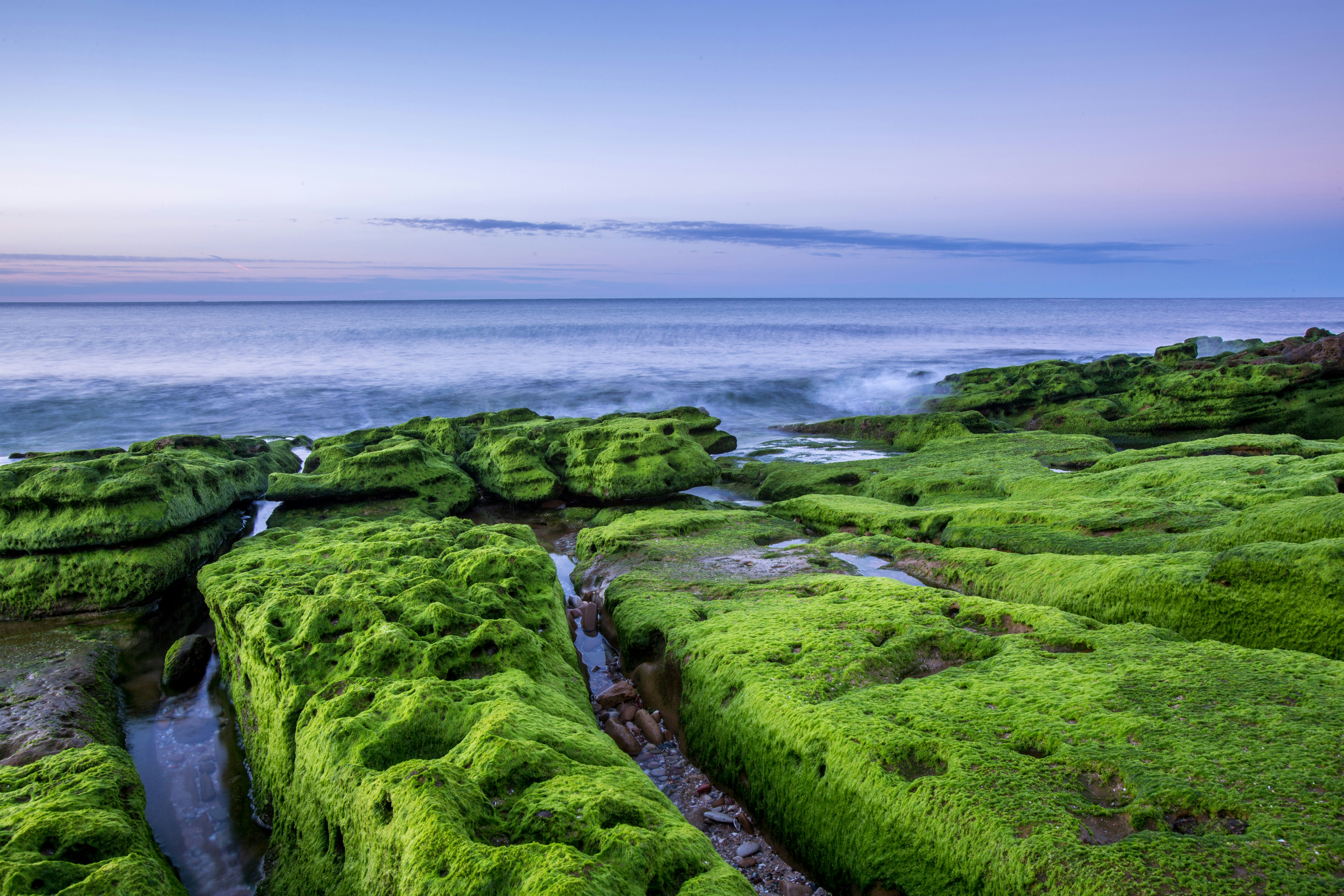 Emerald Tides on Mossy Ridges