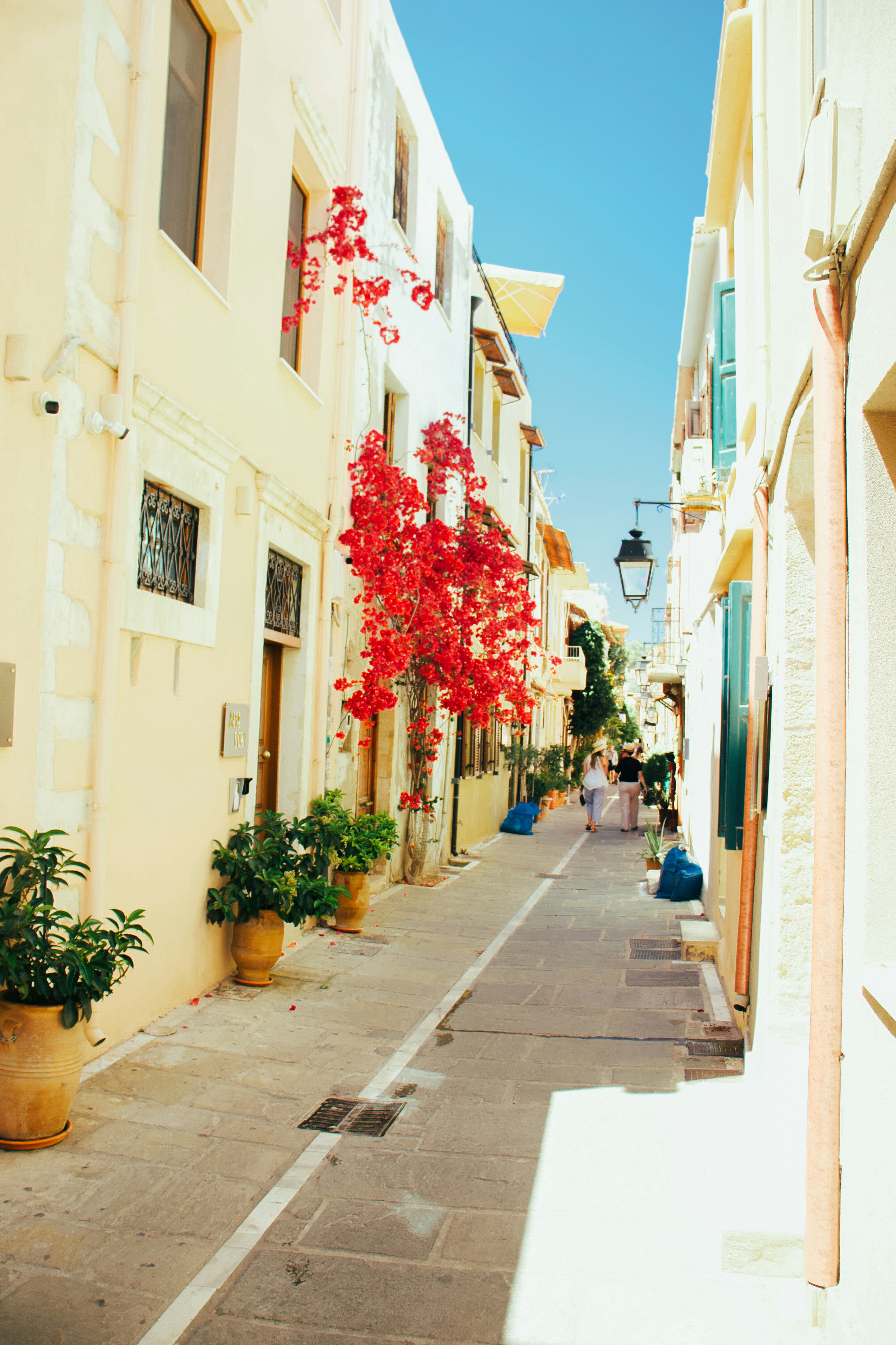 Cobbled Alley in Bloom: A Sunlit Mediterranean Corridor