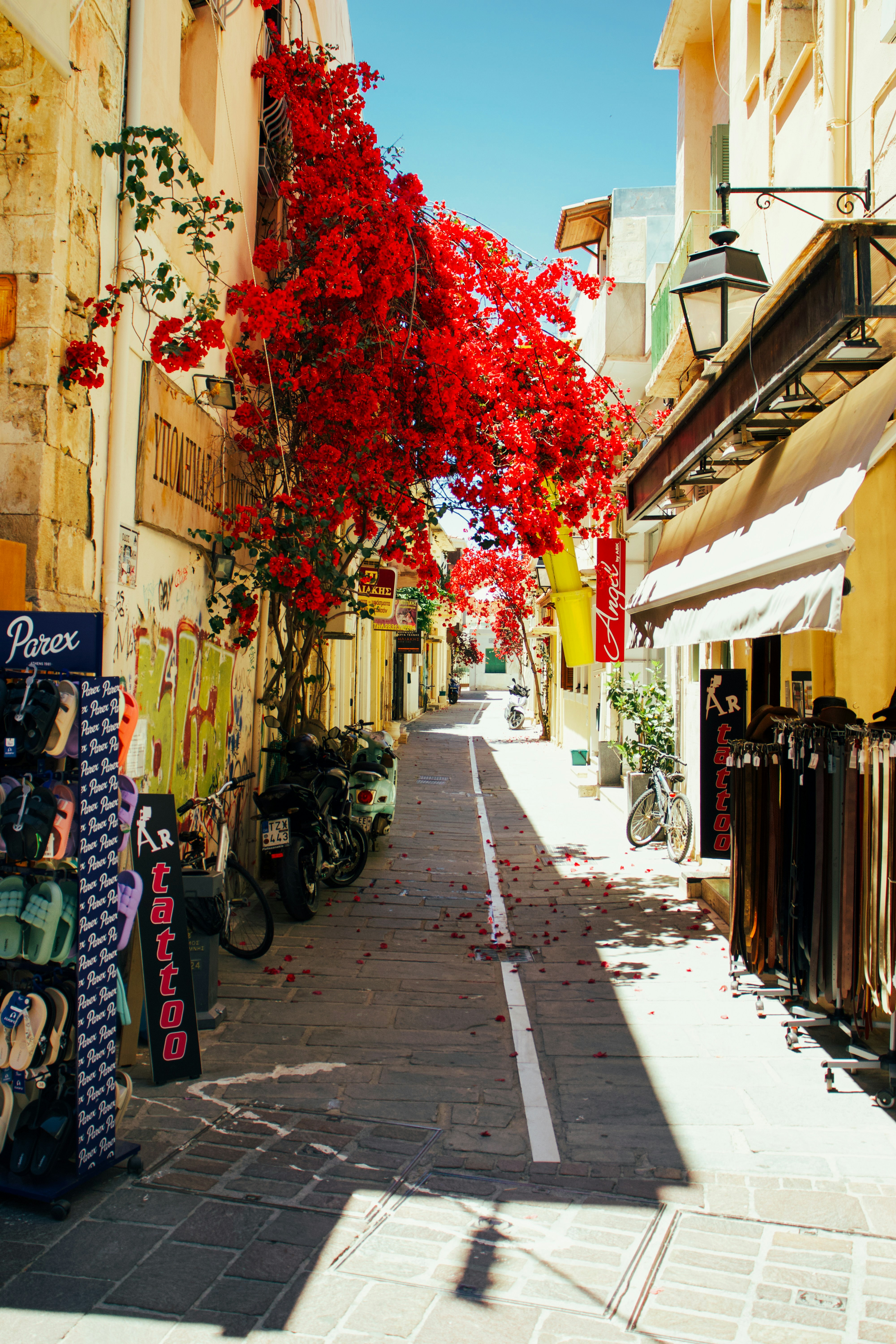 Sunlit Alleyway with Crimson Bougainvillea Arches