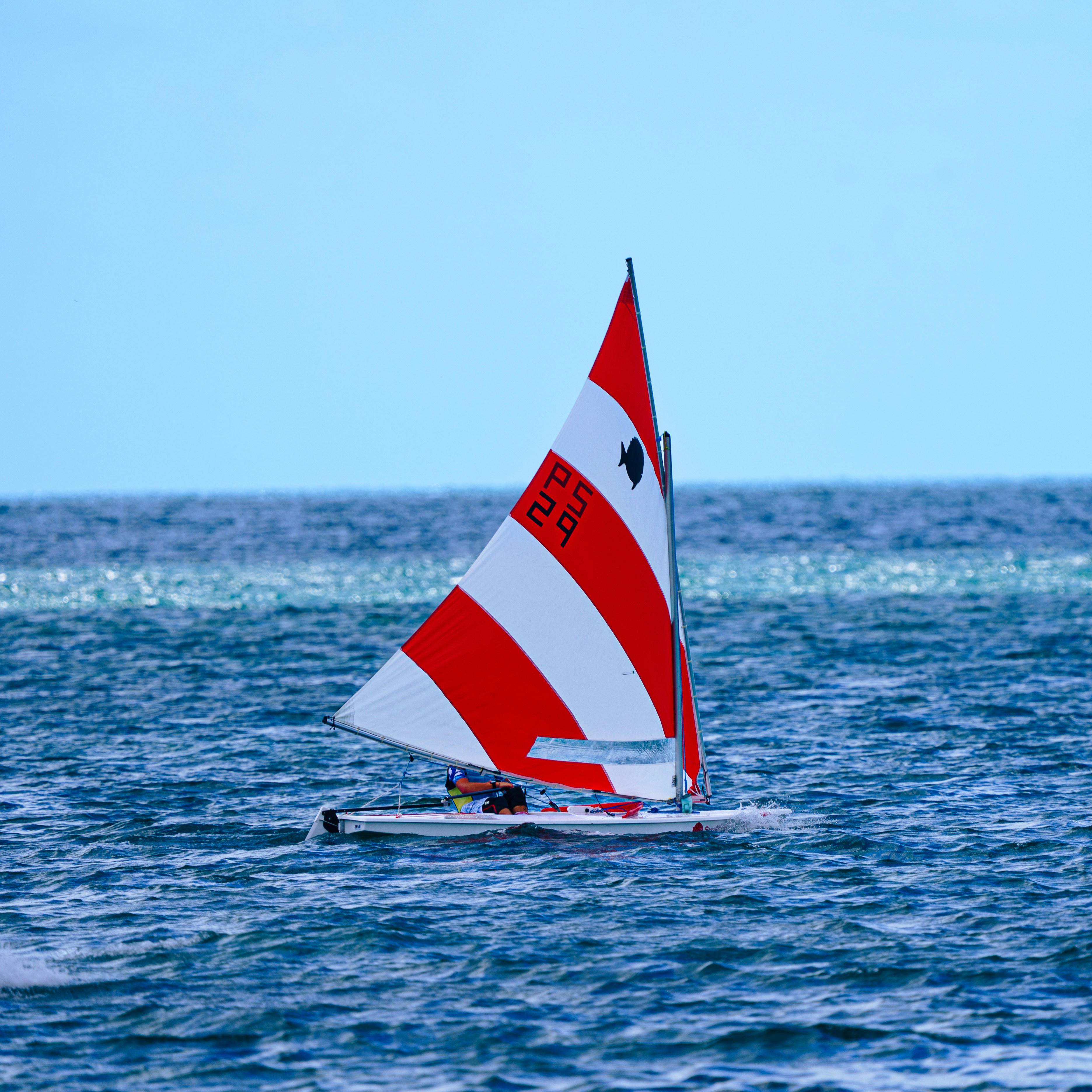 Red‑sailed Solitude: A Lone Yacht Drifts Across Quiet Blues