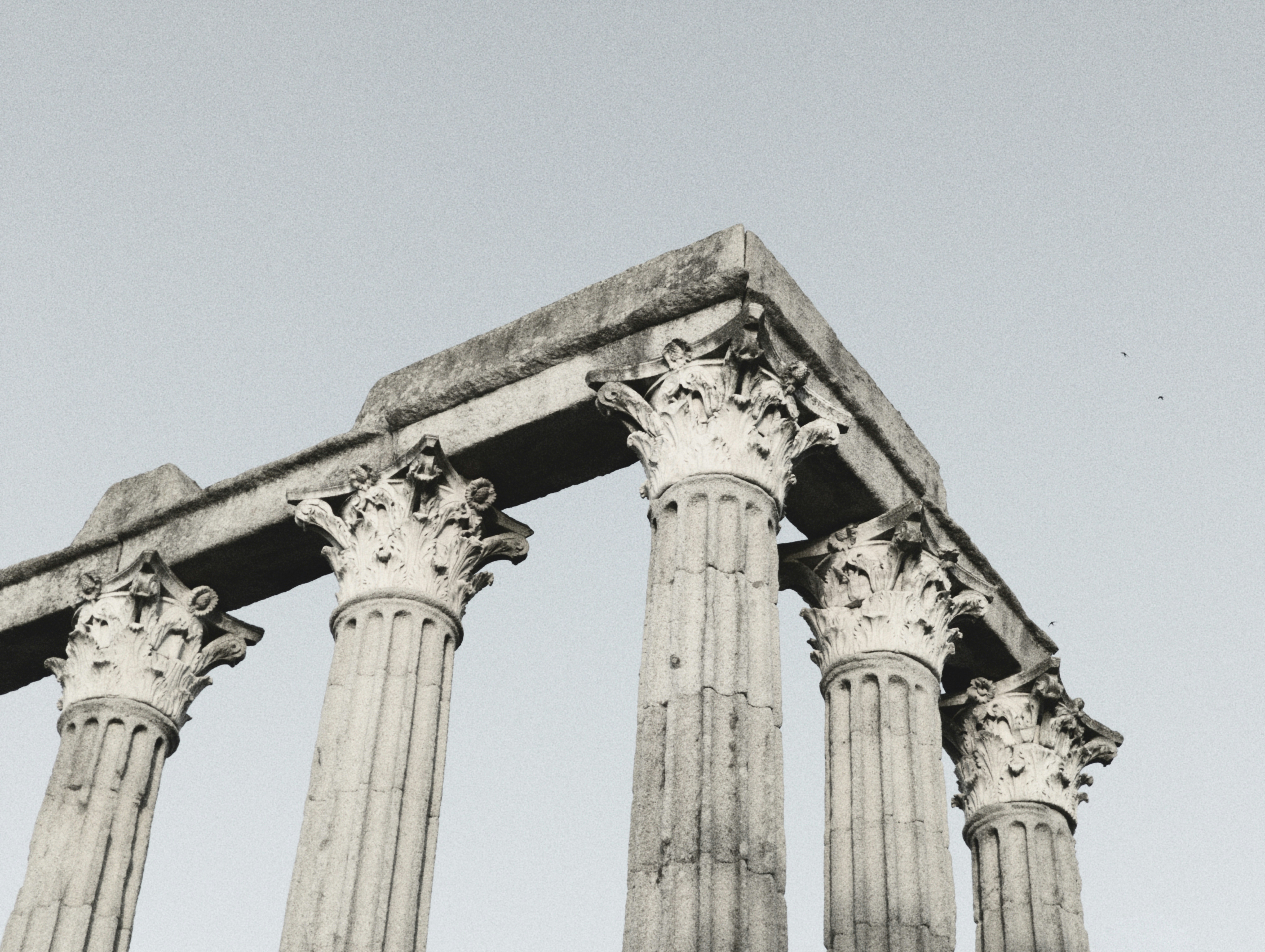 Relic Columns: The Framed Majesty of Ancient Arches
