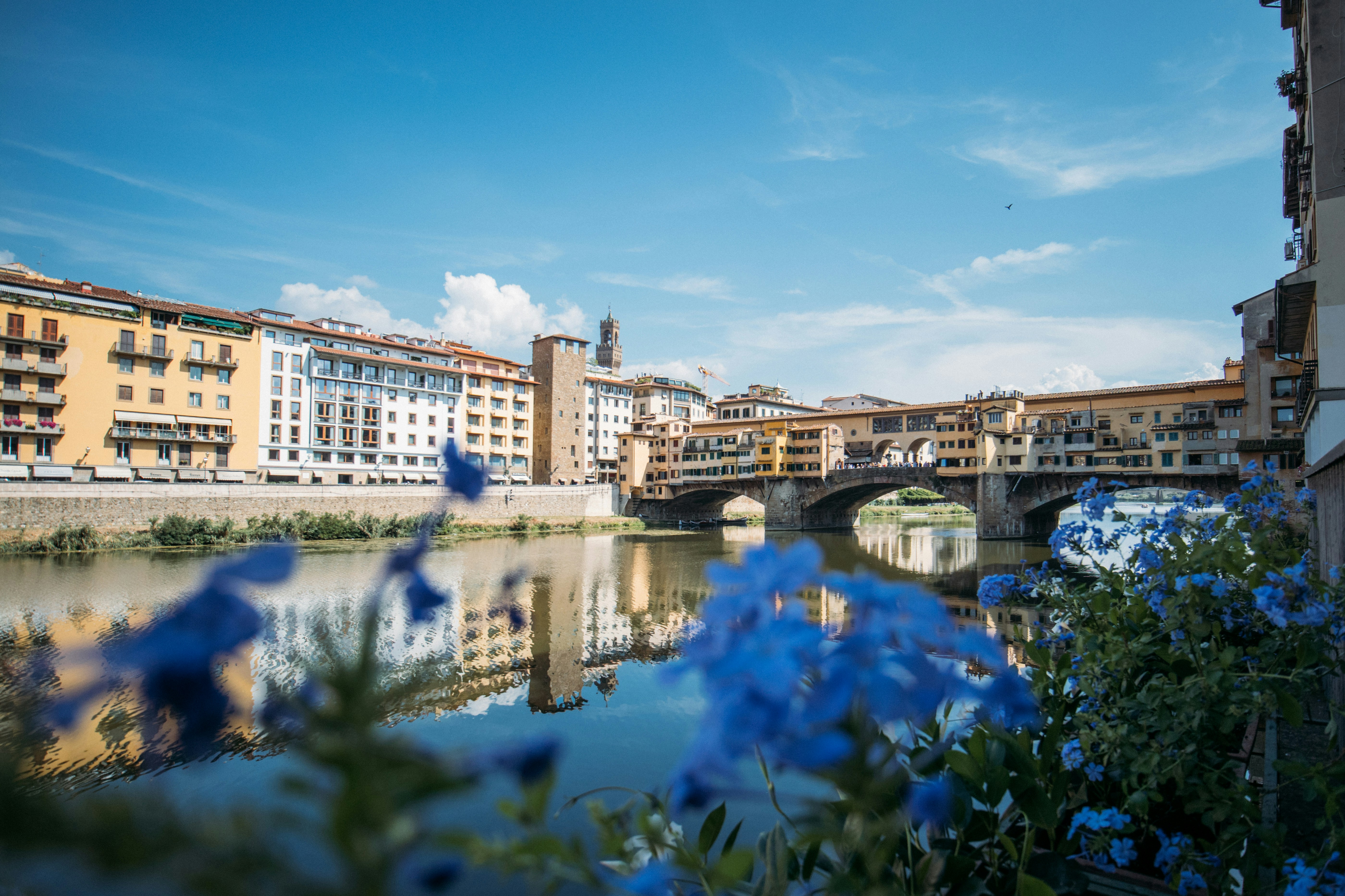 Blue Blooms in the Arno: Riverside Facade Framed by Forget-me-nots