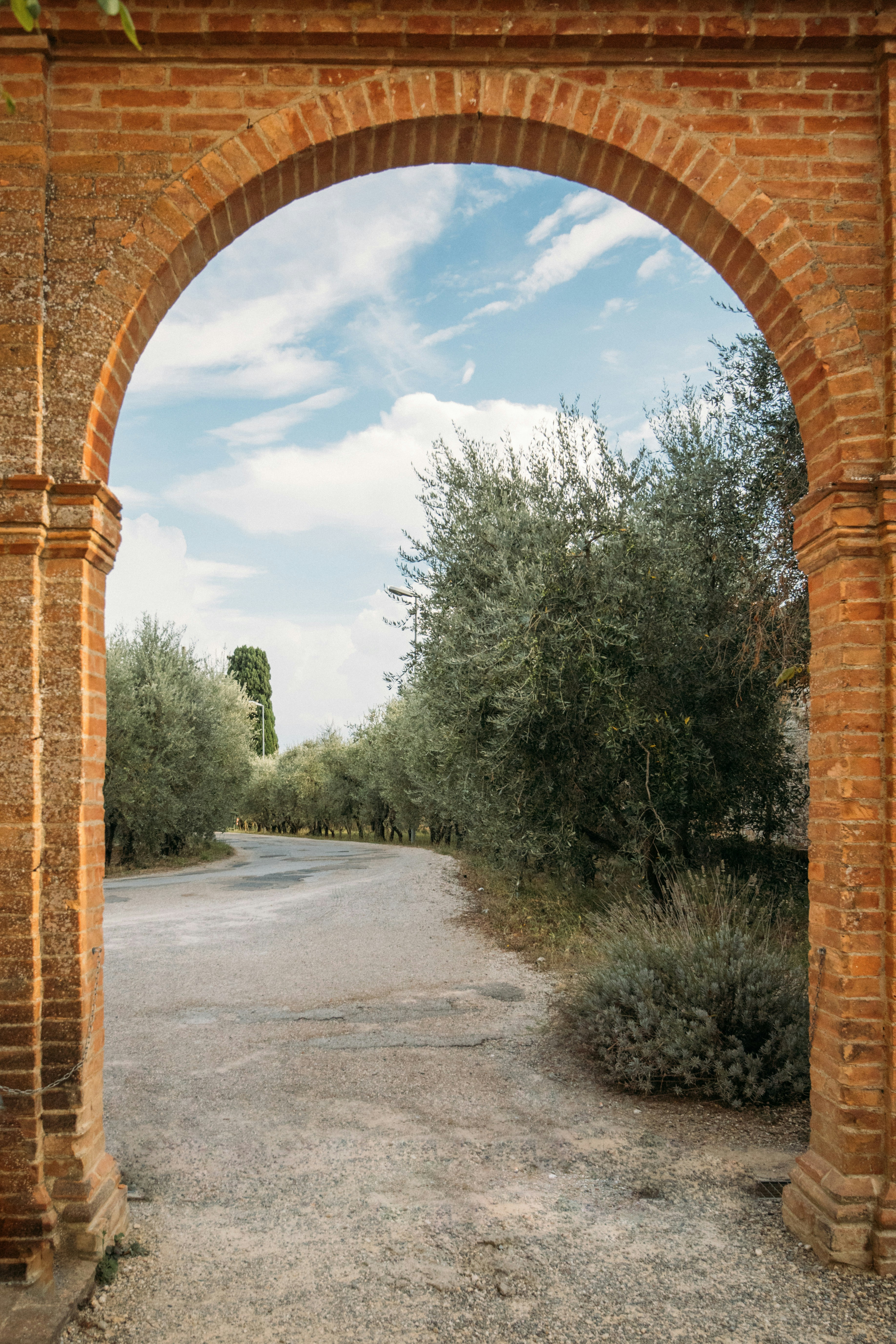 Rustic brick arch frames a winding path through olive groves.
