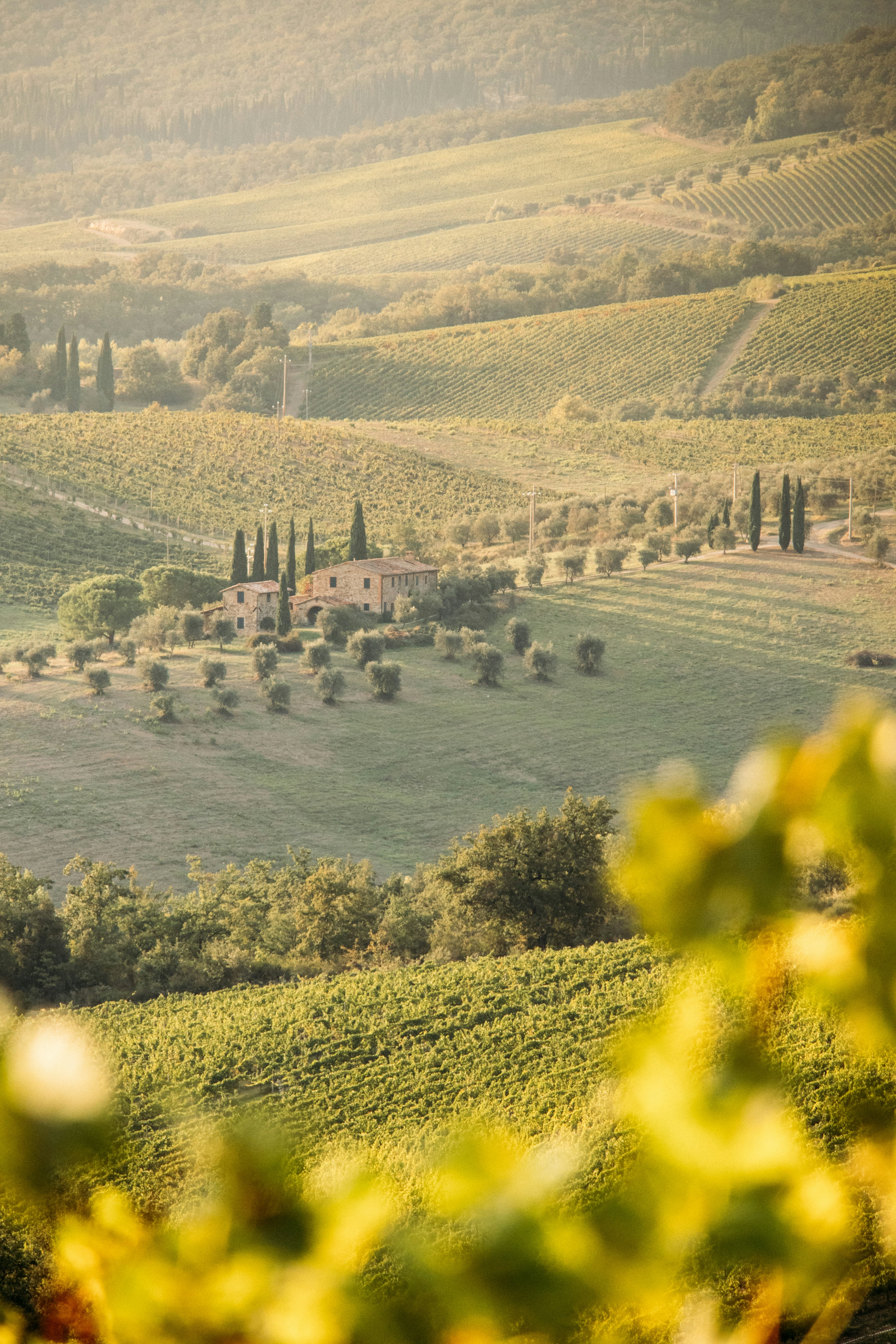 Sunlit Valleys: A Quiet Tuscan Farmscape