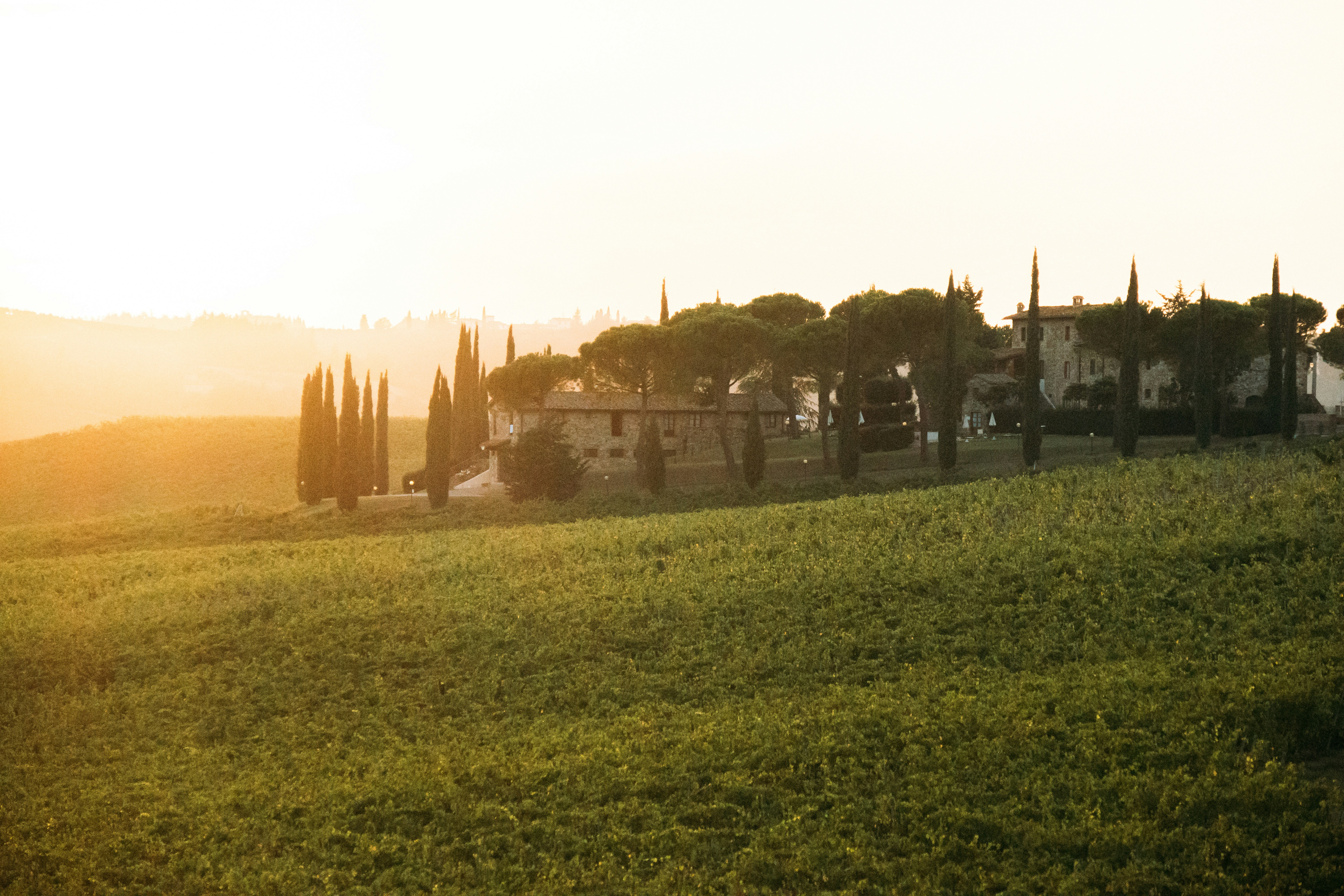 Golden Hill Villa at Dusk