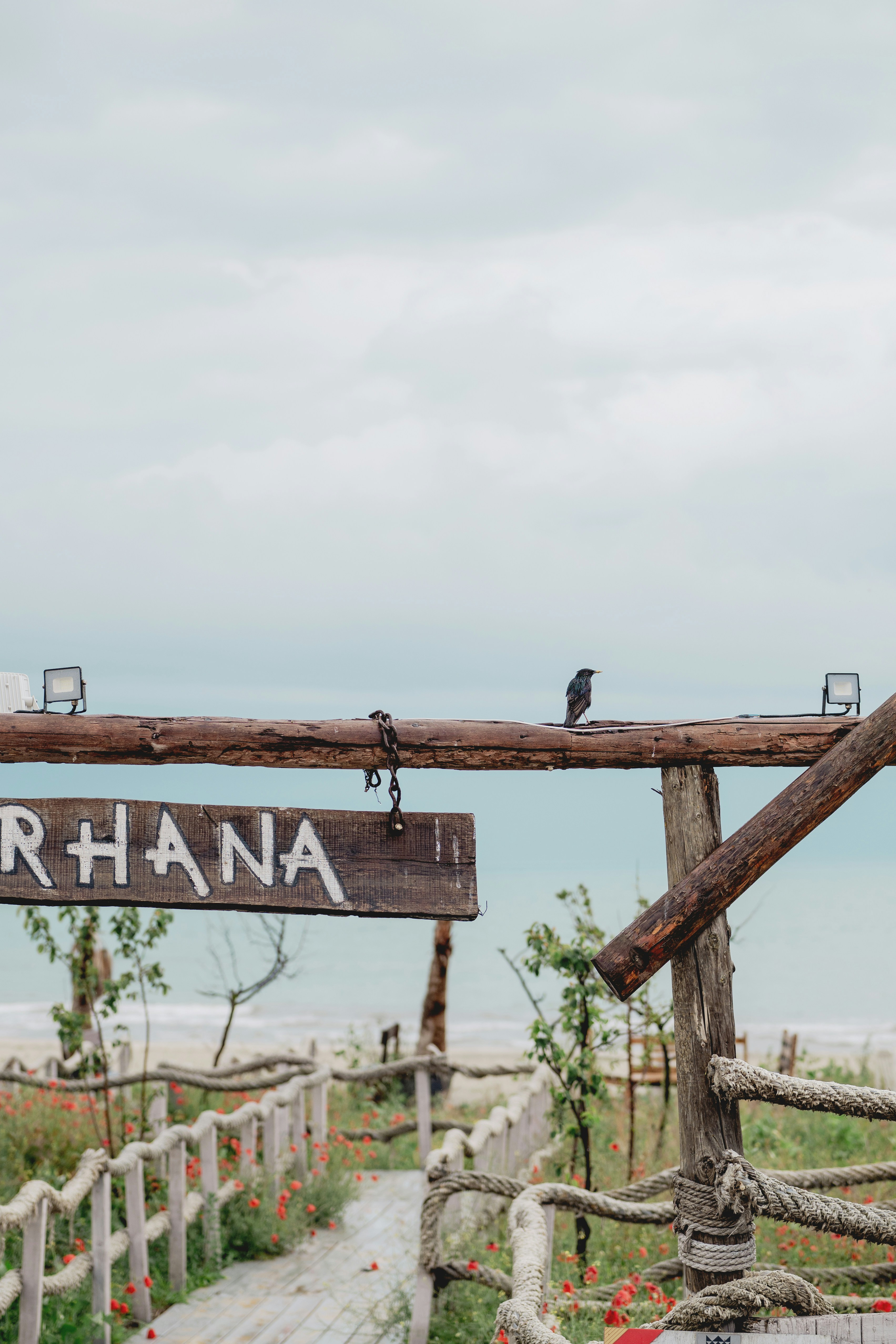 Weathered Pier Sign and Seabreeze