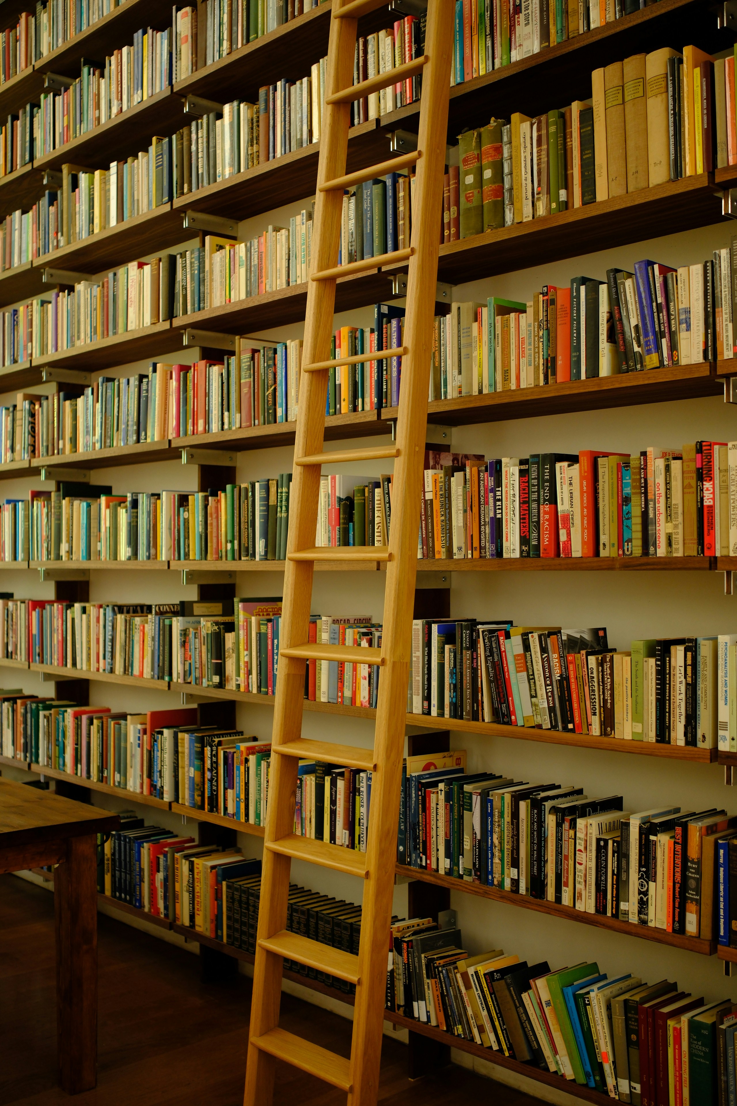Ladder to Knowledge: A Quiet Corridor of Books