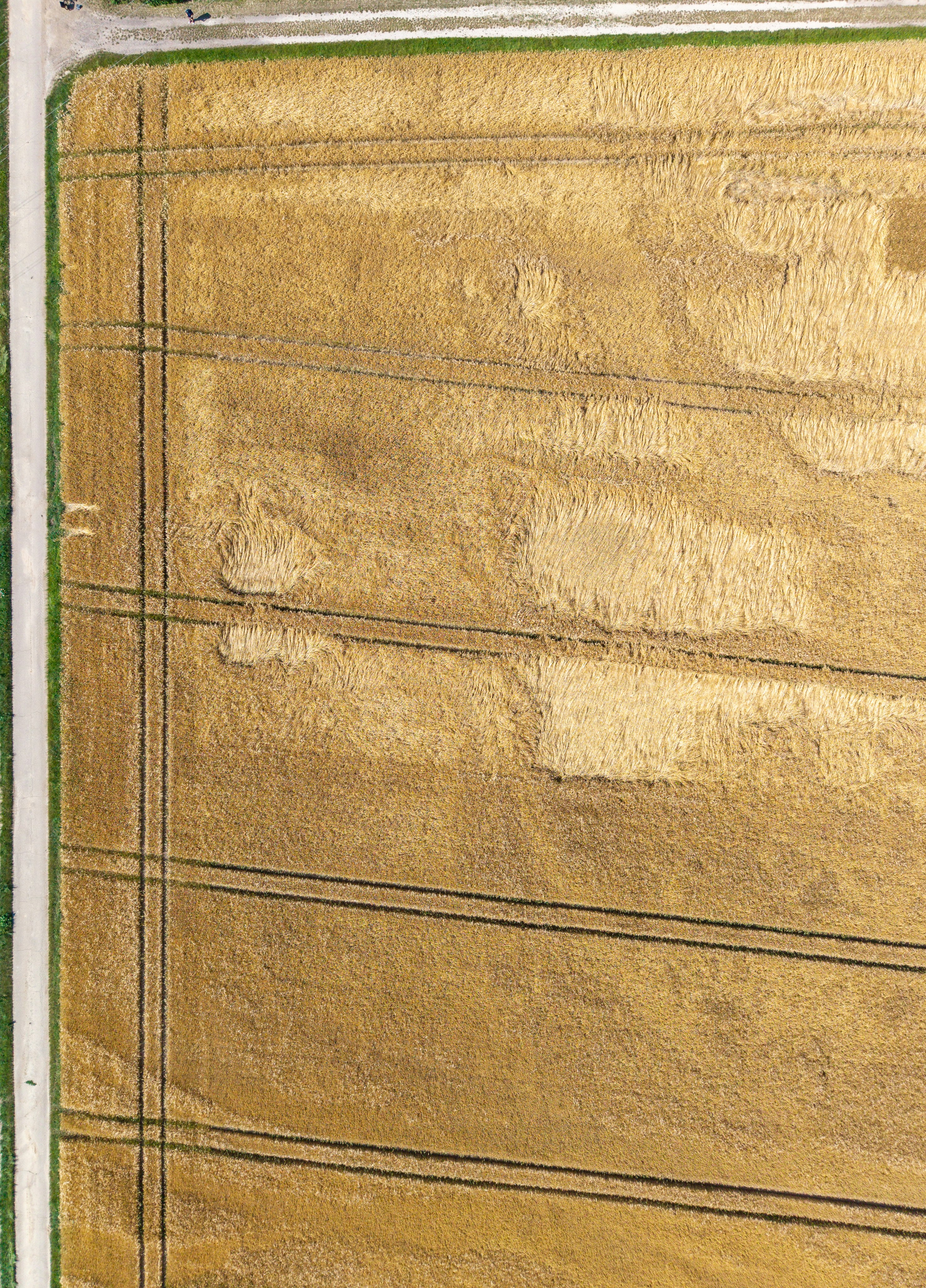 Field Lines and Golden Bales: Aerial View of Harvested Wheat
