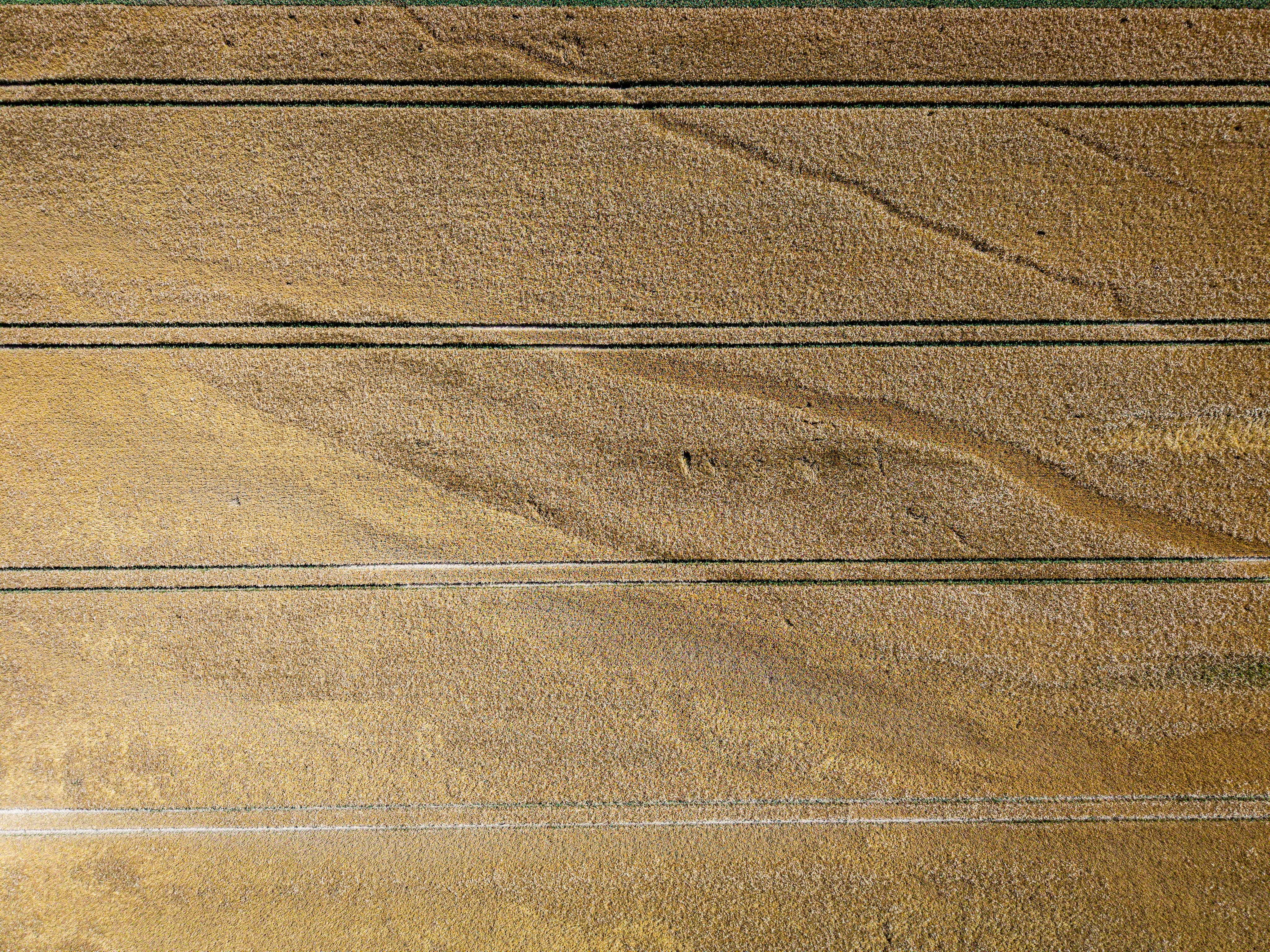 Parallel Wheat: A Quiet Field Cut by Rails