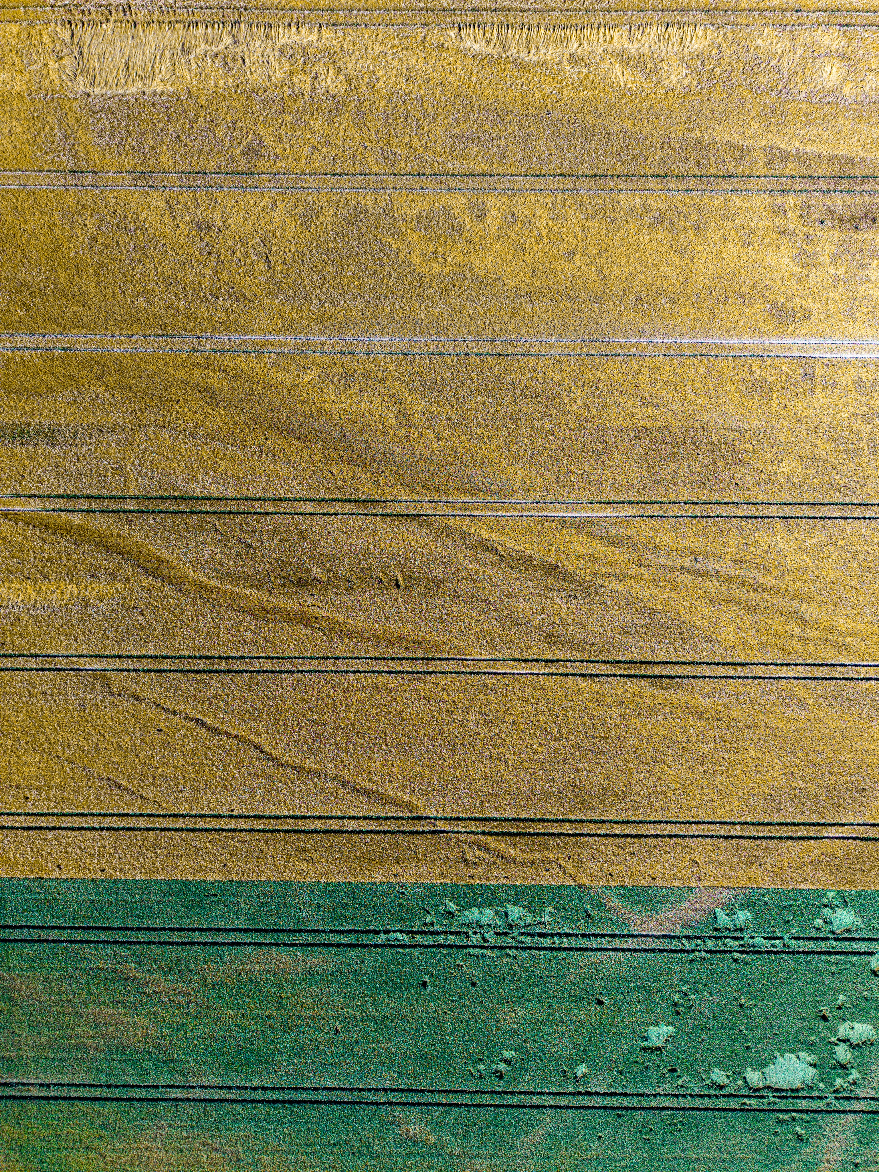 Desolate Strata: Aerial Palette of Sand and Weathered Planks