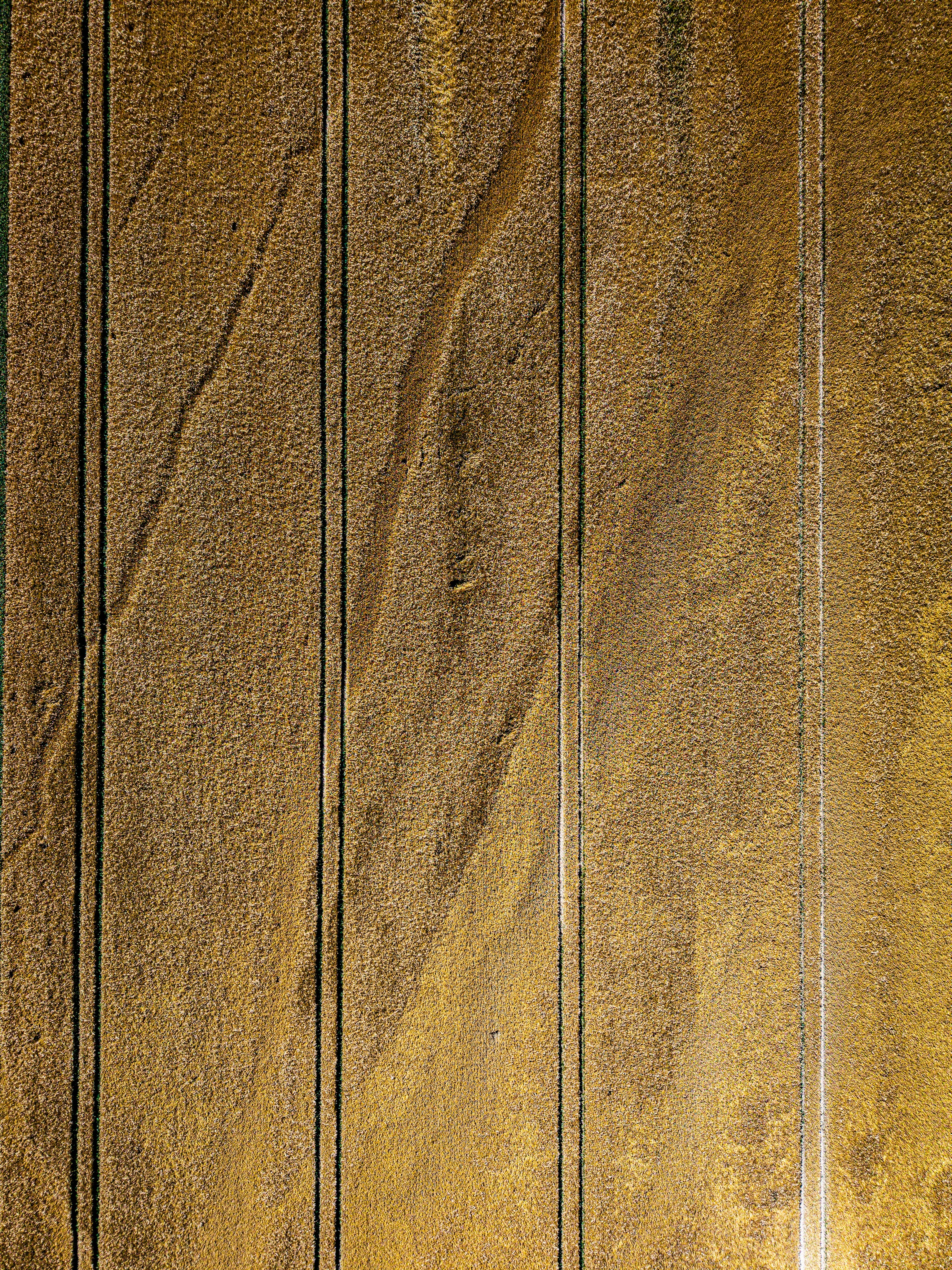 Vertical Striations in Weathered Copper-Tone Panels