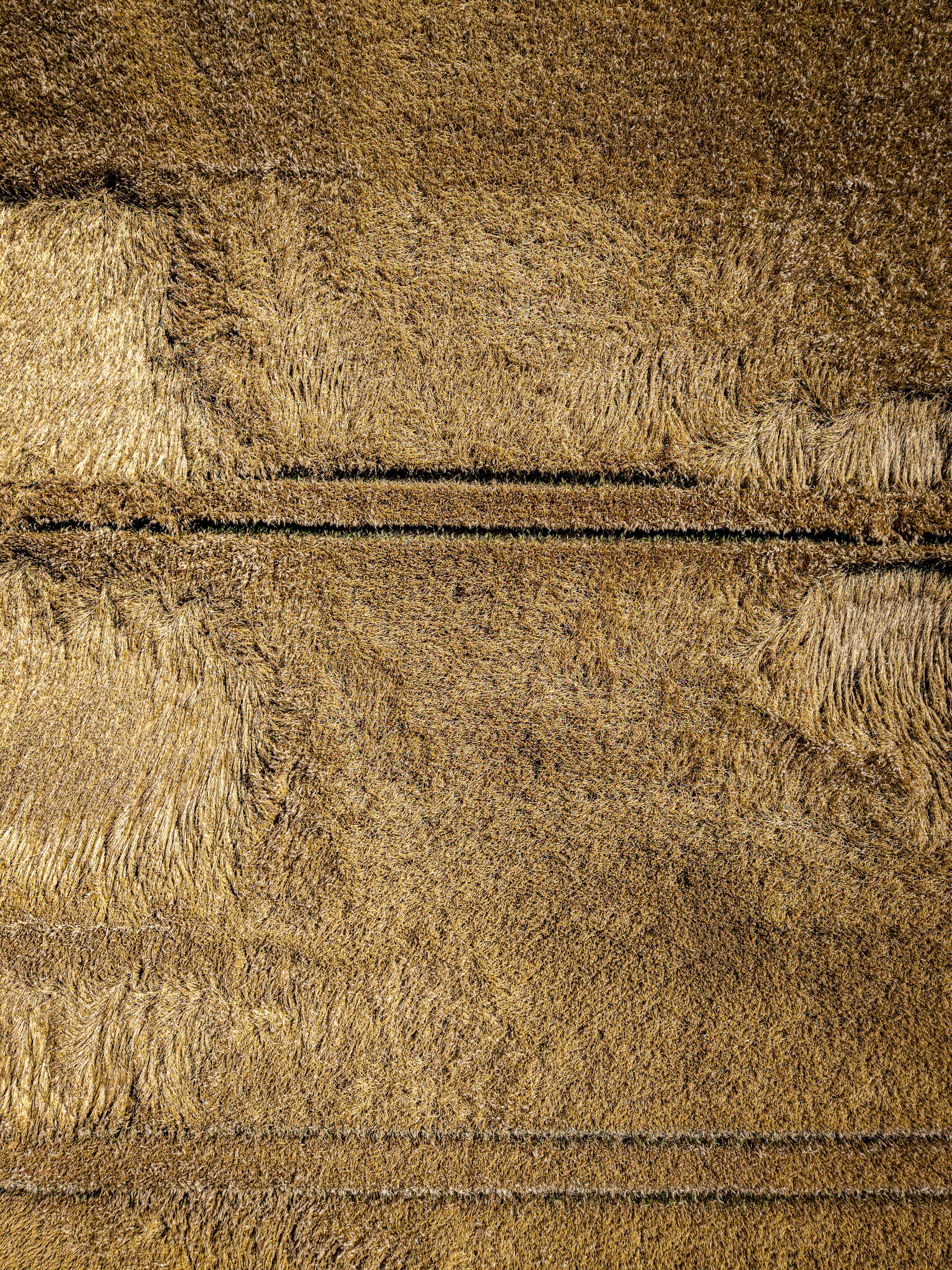 Harvested Field Texture: Parallel Stripes of Stalks and Shadow Lines