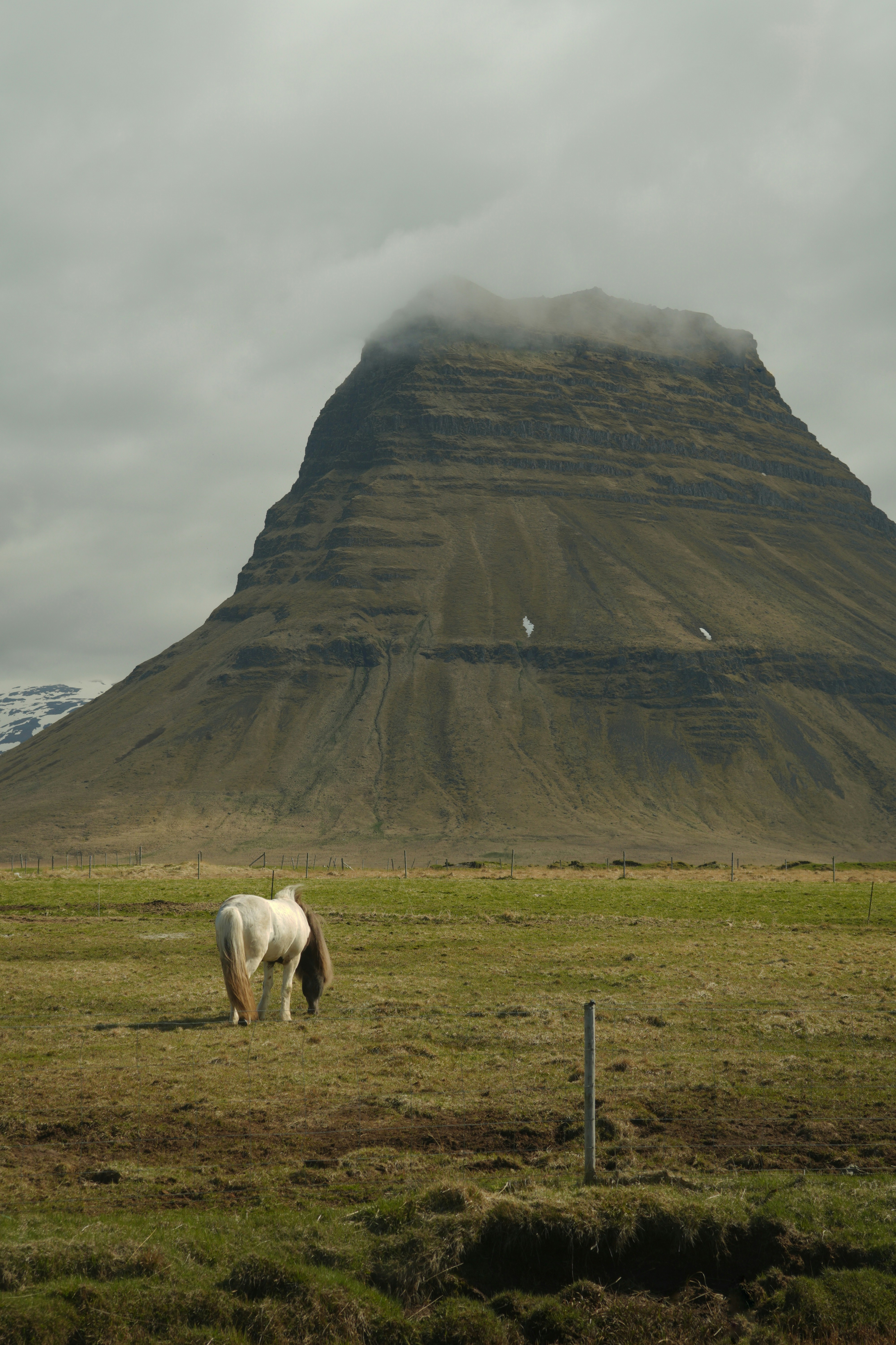 Pasture with a lone horse grazing at the base of a stratified, cloud-shrouded mountain.