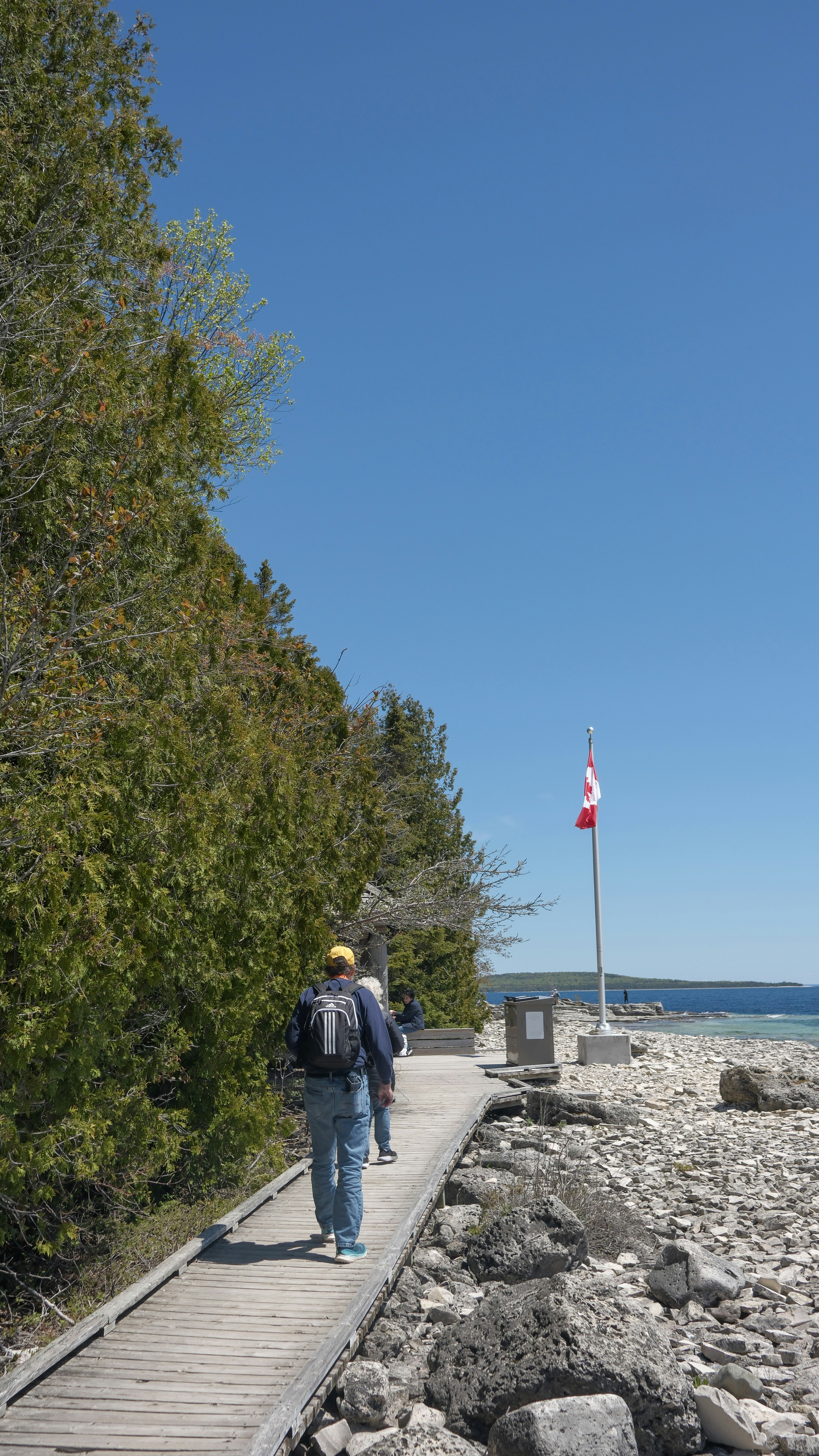 A vertical lifestyle photo tracking a man with a backpack walking down a wooden boardwalk path along the coast. Another traveler walks ahead of him, heading toward a red Canadian flag waving proudly on a tall white pole. The left side is lined with a dense wall of green cedar trees, while the right side opens up to a white pebble beach and a deep blue lake. This unedited storytelling frame captures a genuine travel experience, perfect for activewear sponsors or national travel channels.