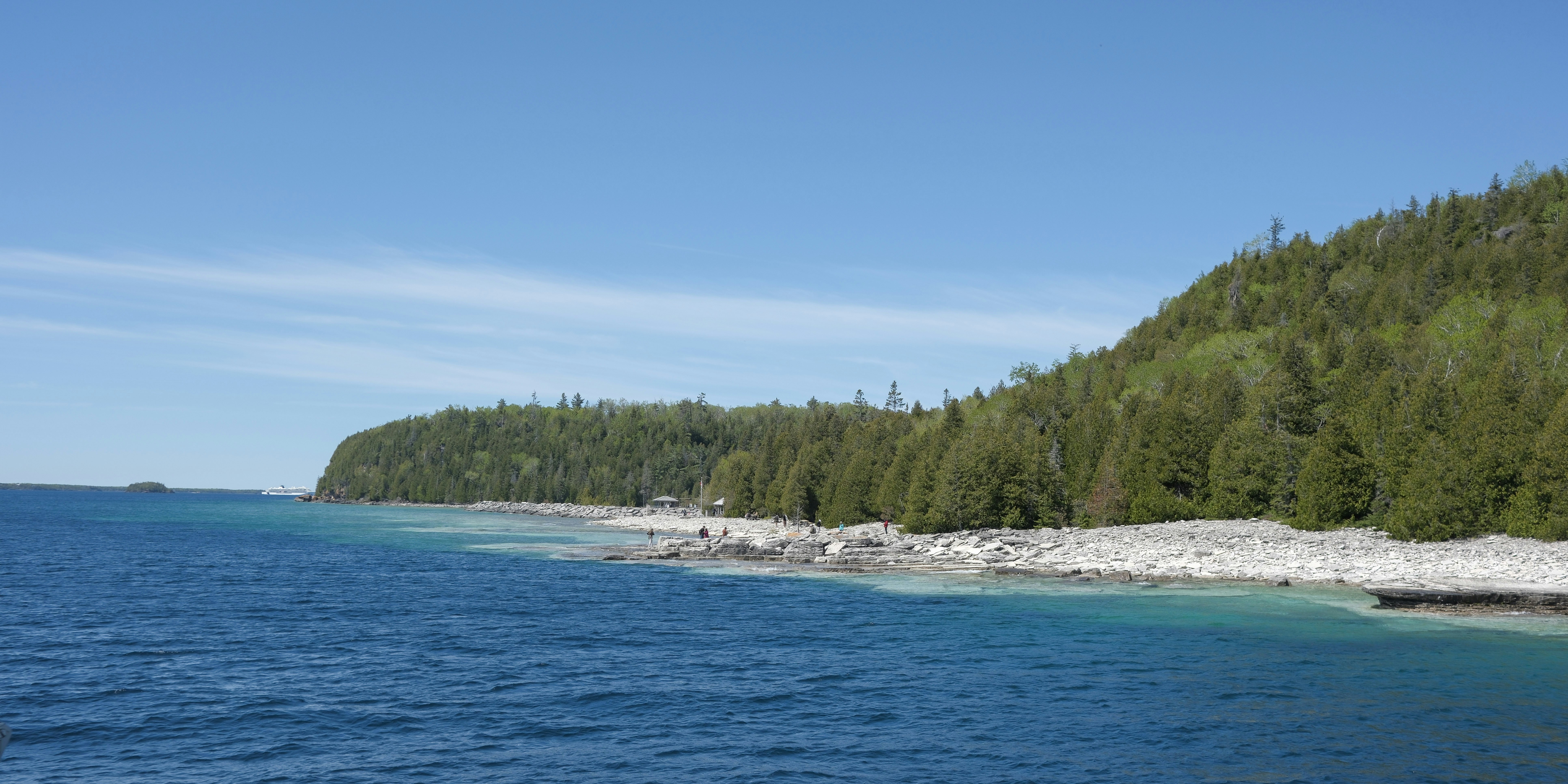 Luminous Coastal Line: Blue Water Meets Pine Shore