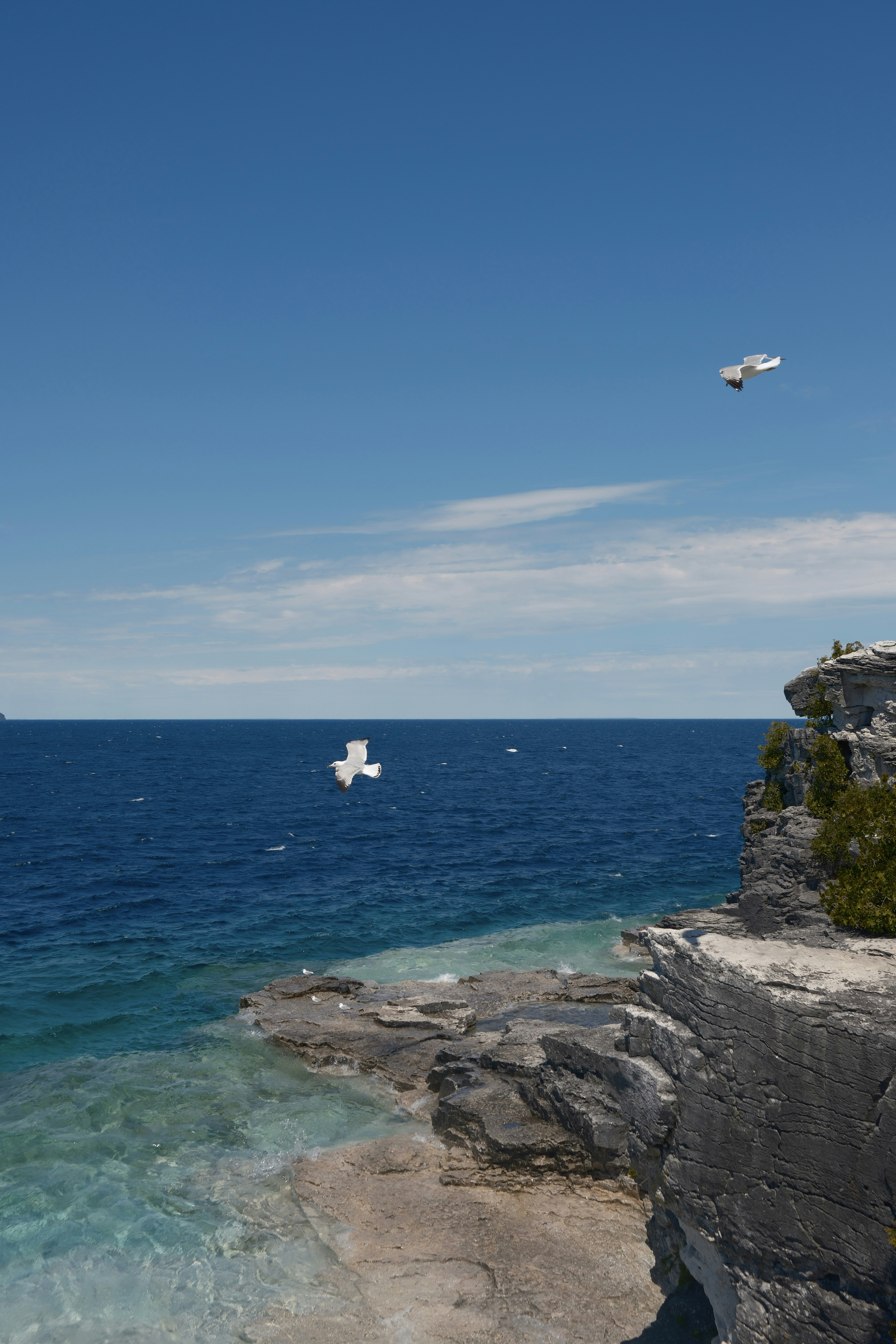 Seabirds over a cliffside Baltic-blue horizon