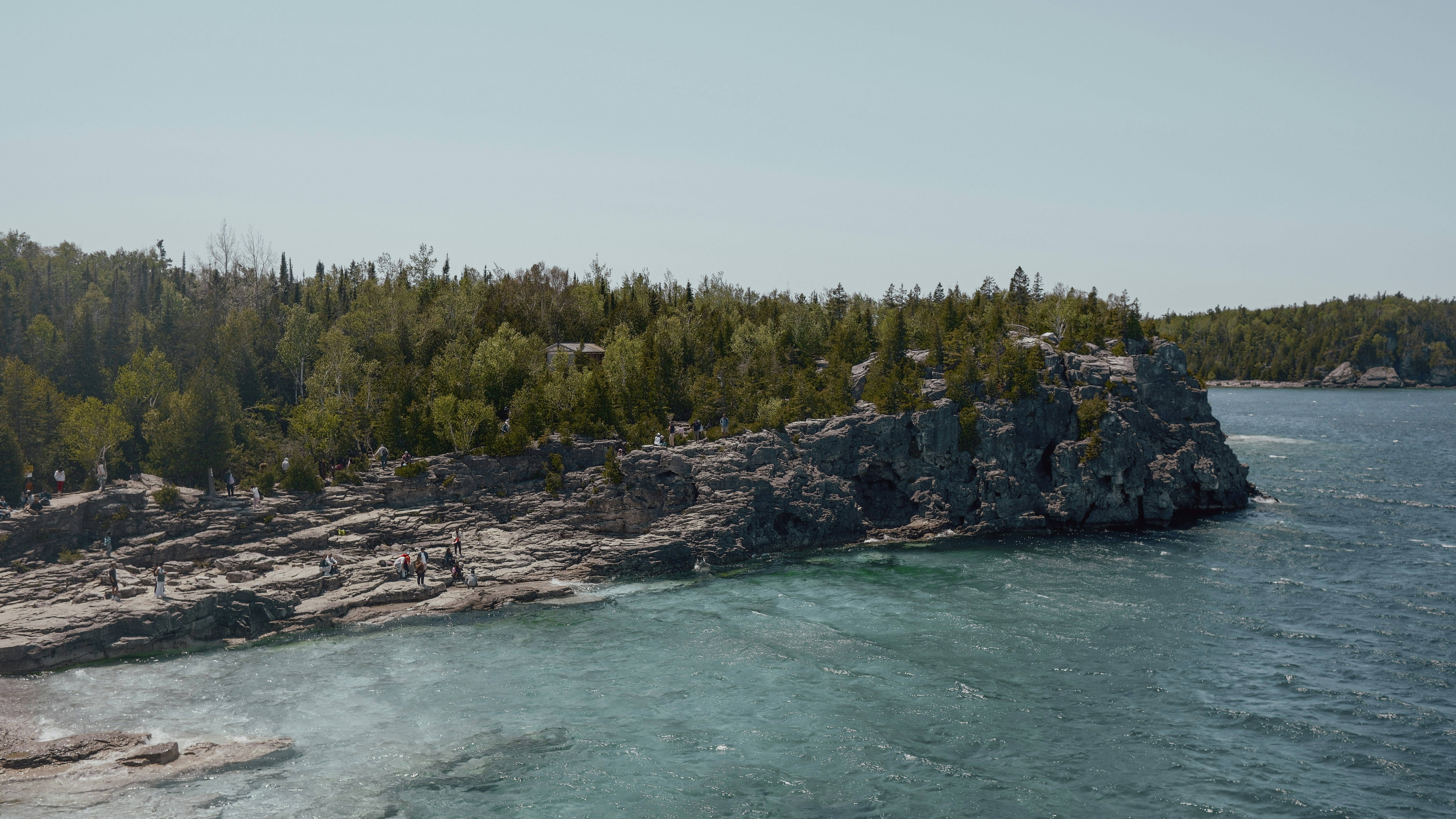 Cliffside Woodland Verge Over Turquoise Waters