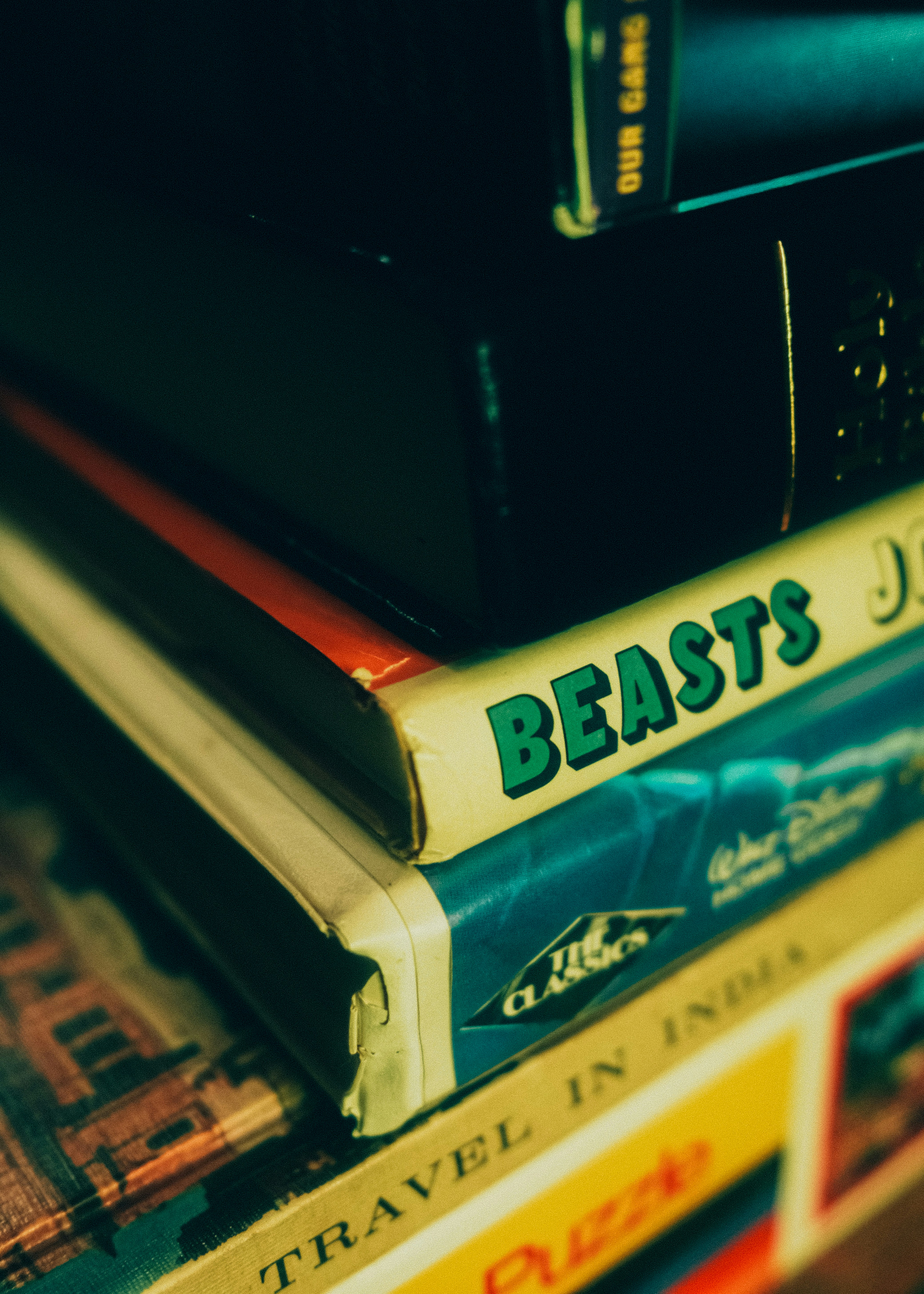 Beastly Stack: A Quiet Portrait of Shelfander Books