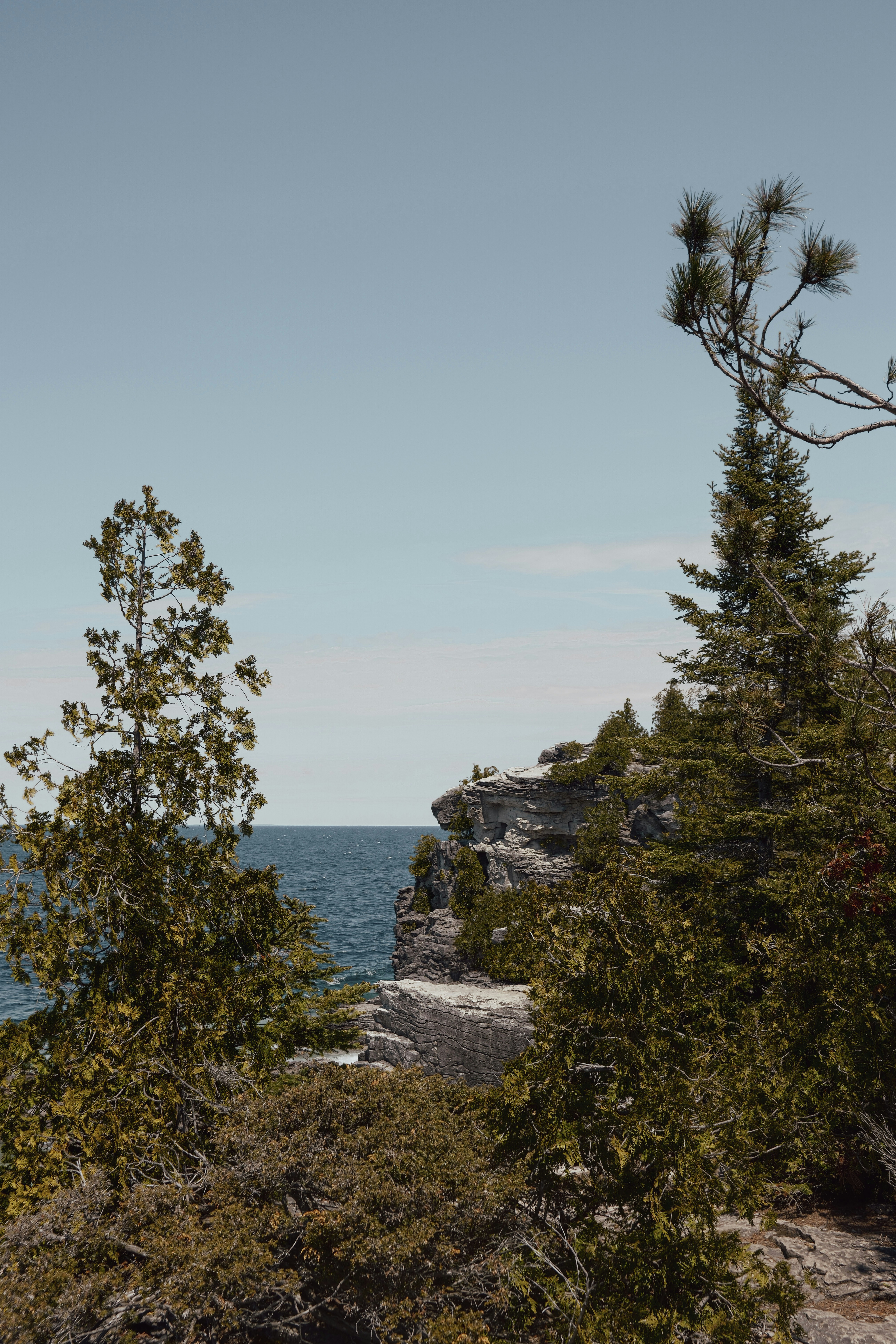 A beautiful vertical composition showing a high rocky cliffside rising out of the deep blue lake water. The rugged limestone cliffs are framed tightly between two tall green pine and cedar trees in the foreground under a completely clear sky. This unedited nature study has a wonderful sense of height and depth, delivering a perfect, ready-made asset for eco-tourism channels, conservation magazines, or outdoor lifestyle blogs.