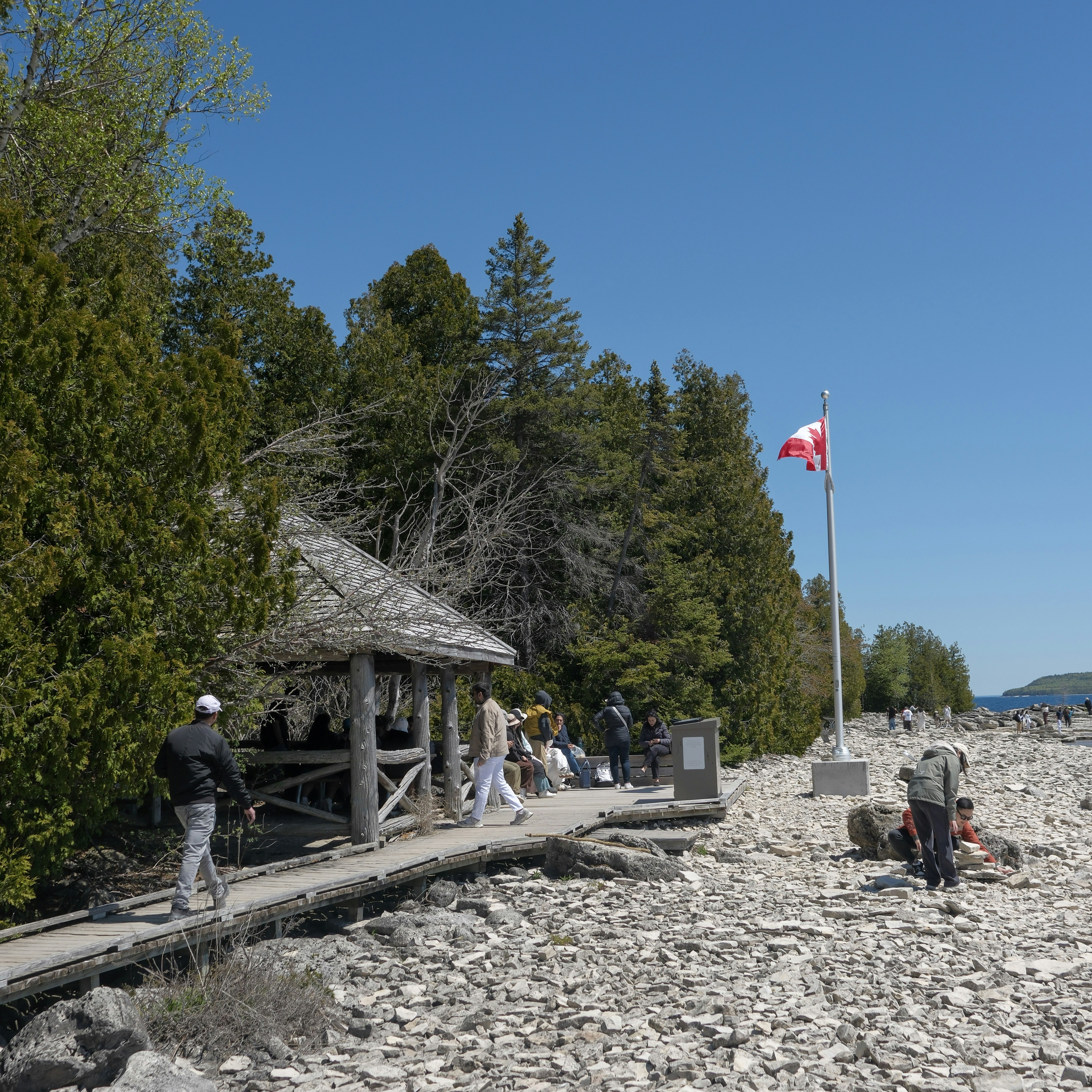 Canadian Flag Over a Quiet Lakeside Boardwalk
