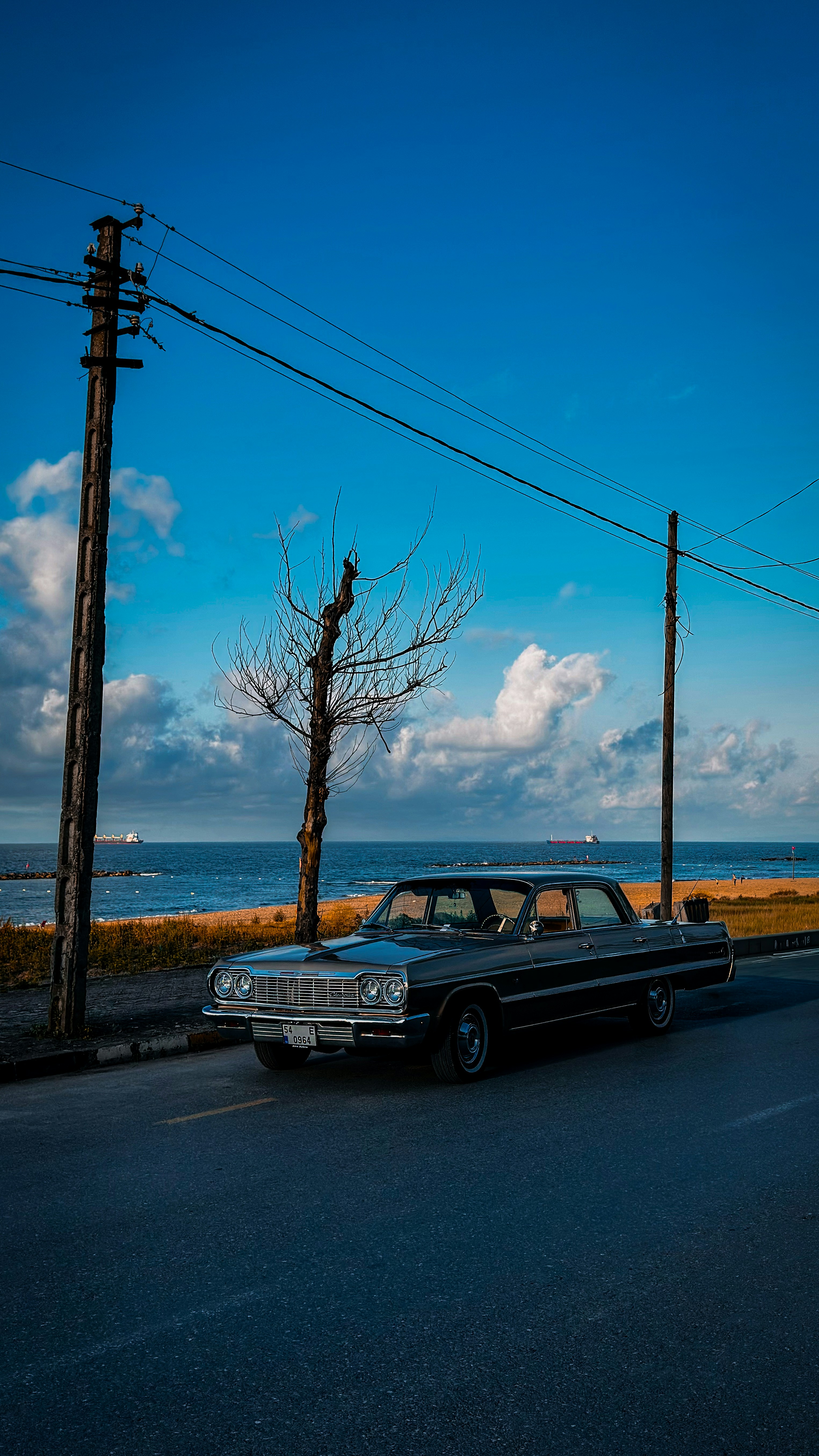 Midcentury Muscle by the Sea