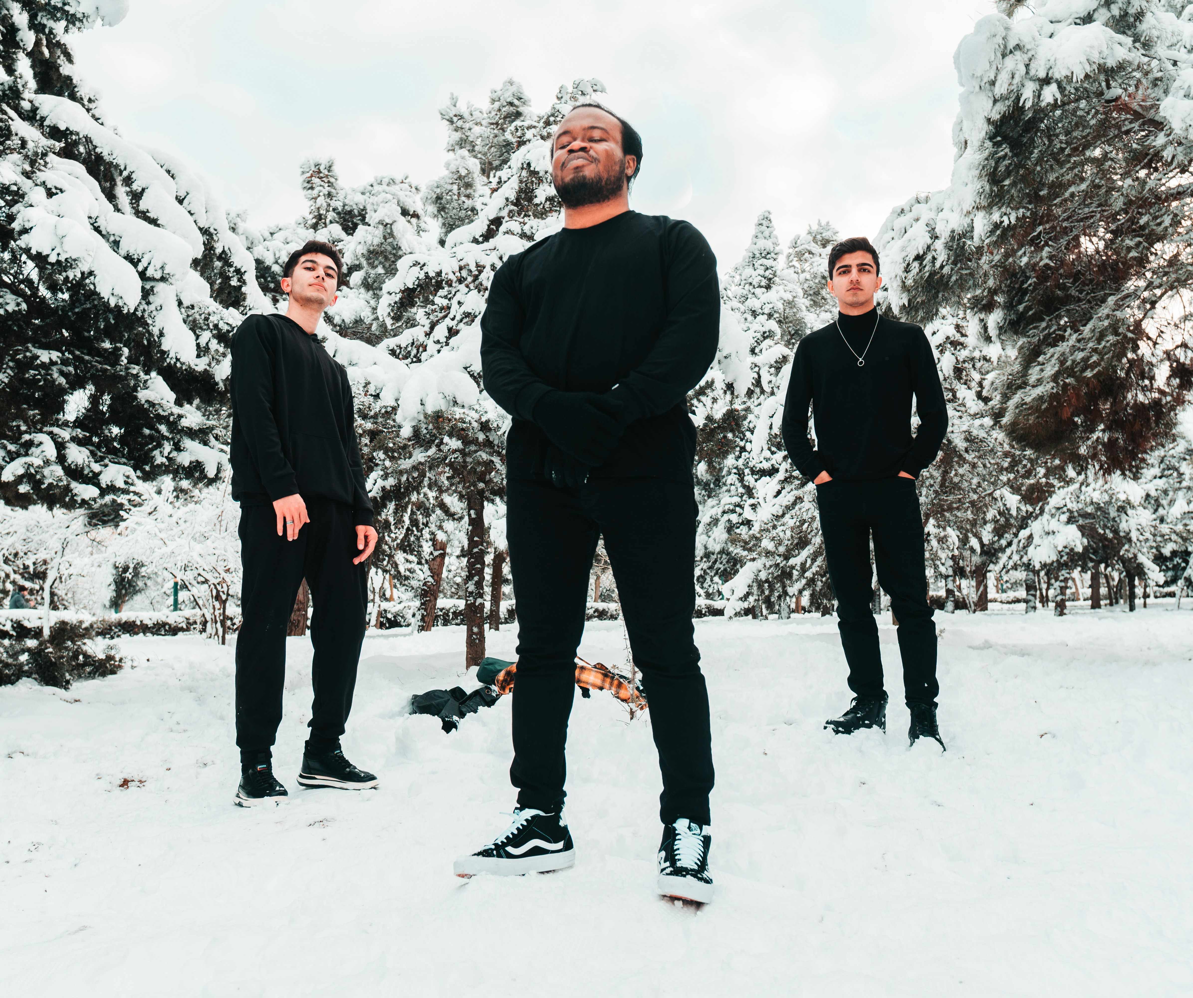Snowbound Trio: Portrait in a Winter Clearing