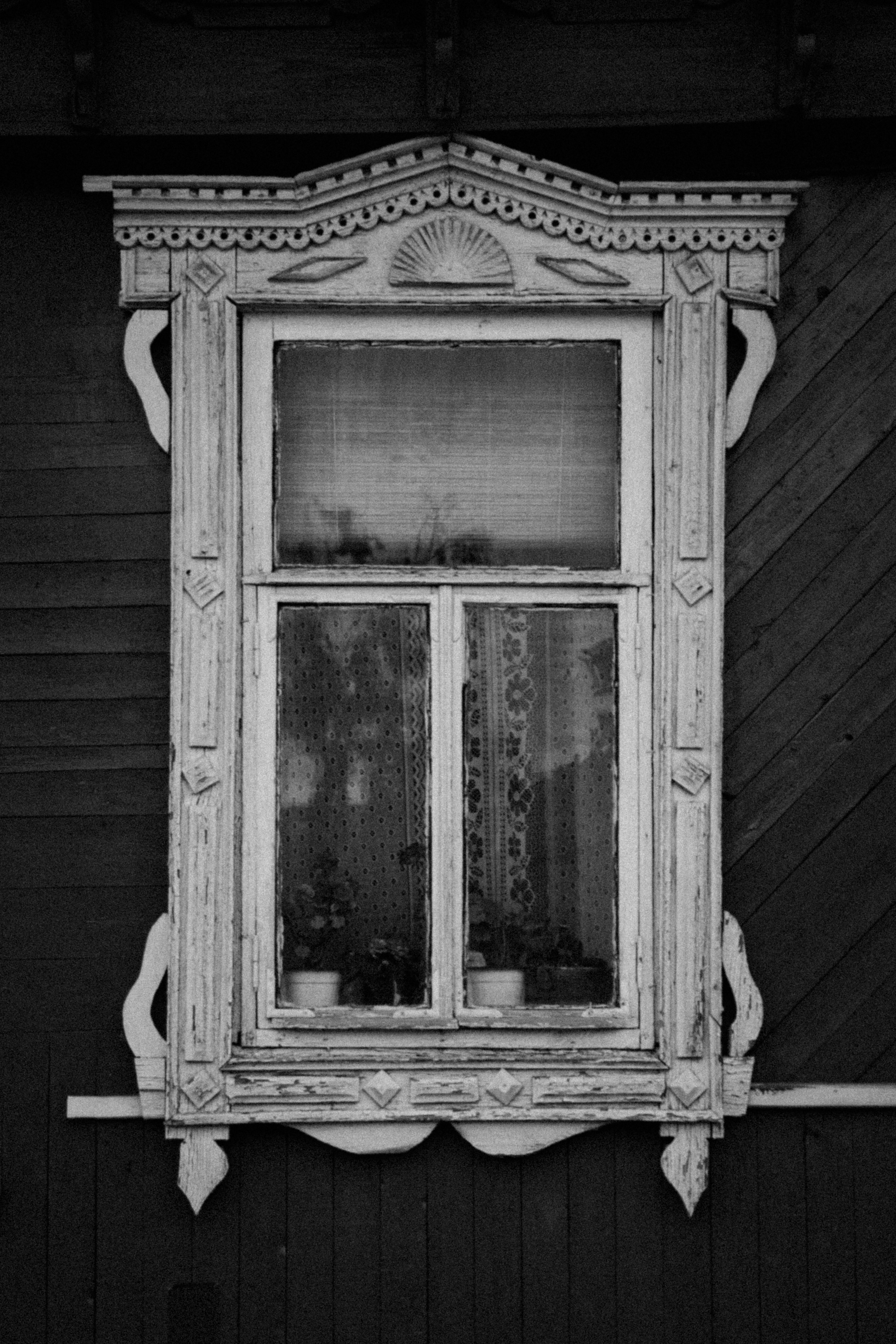 Ornate Window in Silent Wood: A Time-Worn Facade