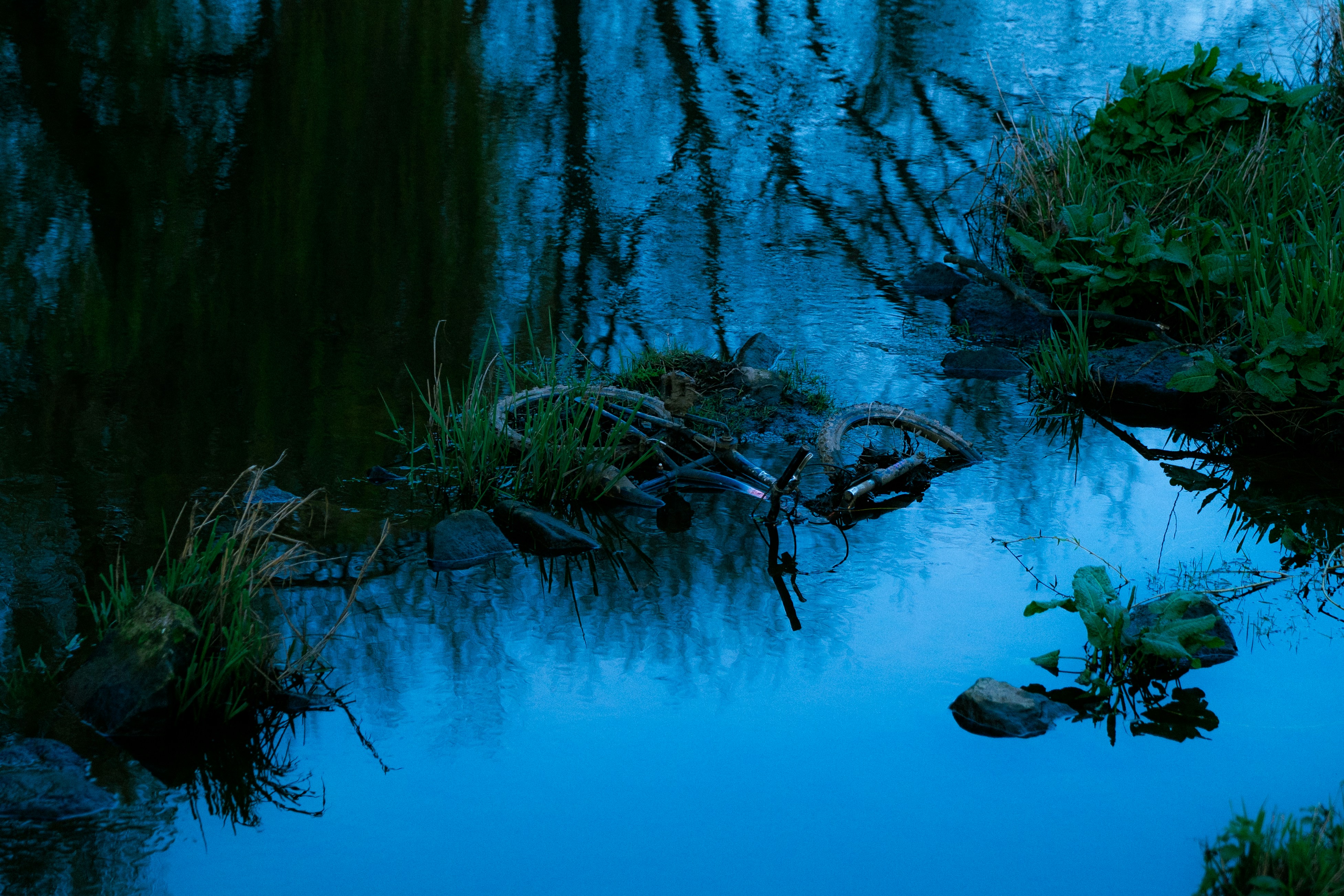 Blue Night Stillness at the Water’s Edge