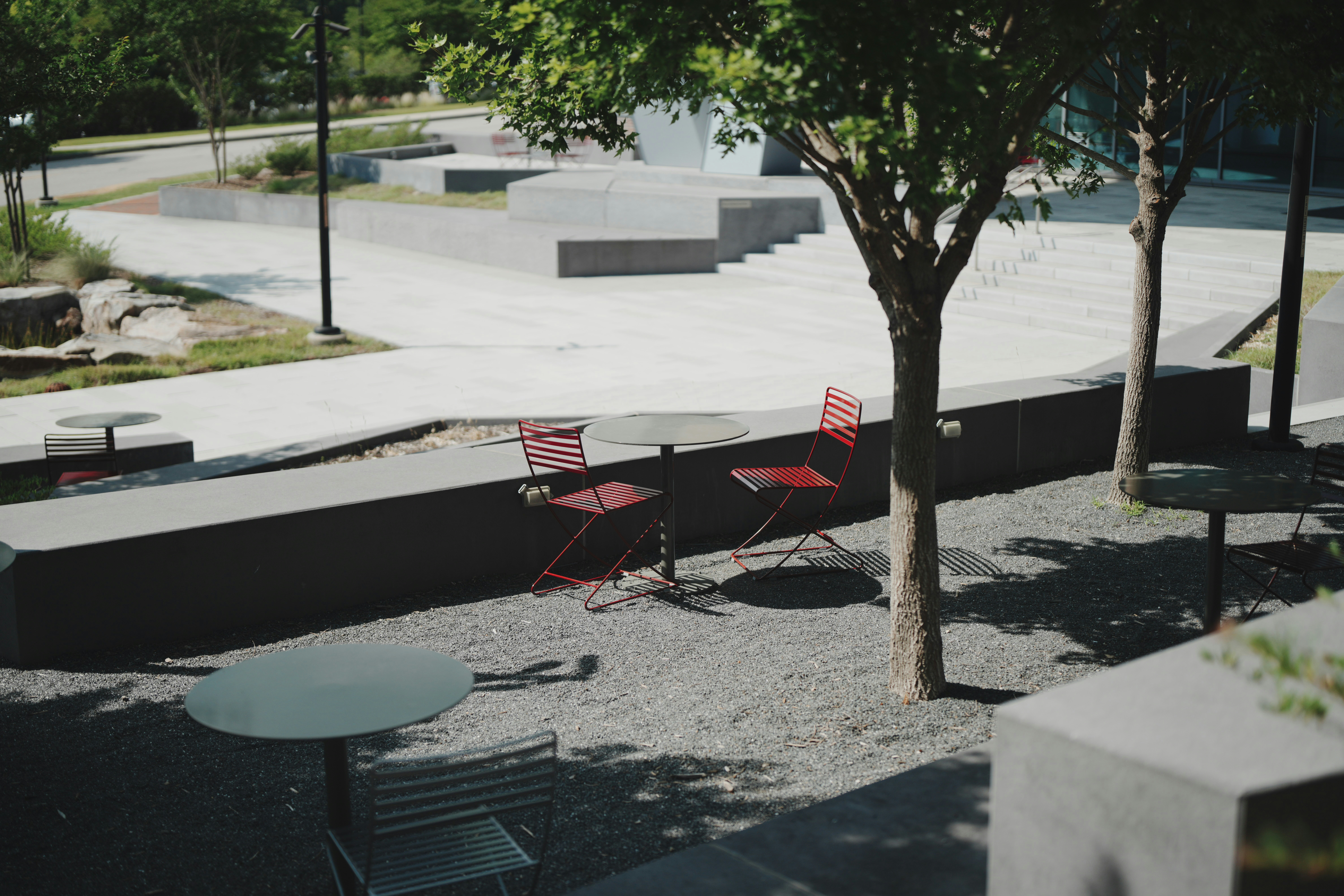 Red Chairs in the Courtyard: Quiet Geometry by the Tree