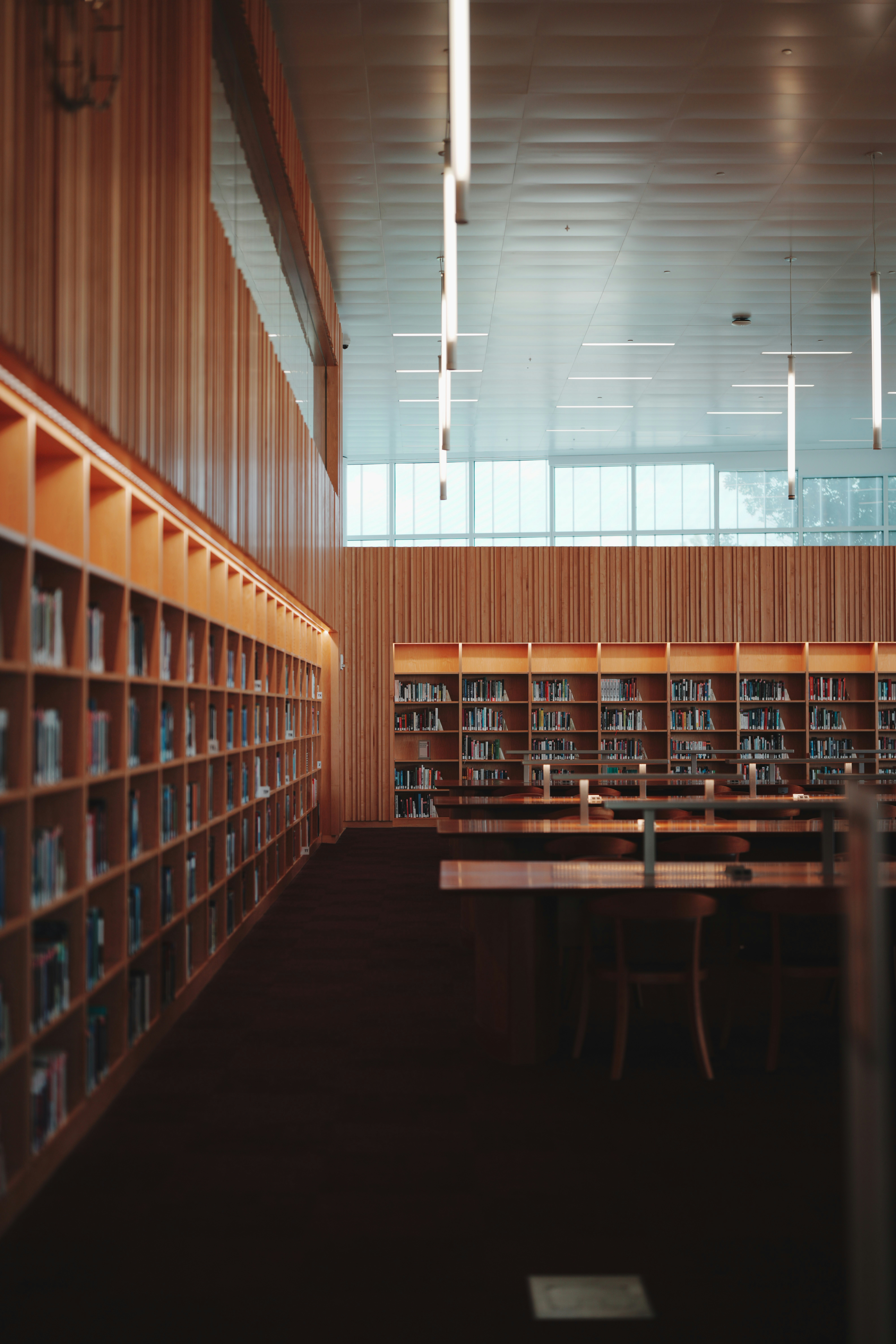 Quiet Geometry: A Library Aglow with Wooden Lines and Soft Light