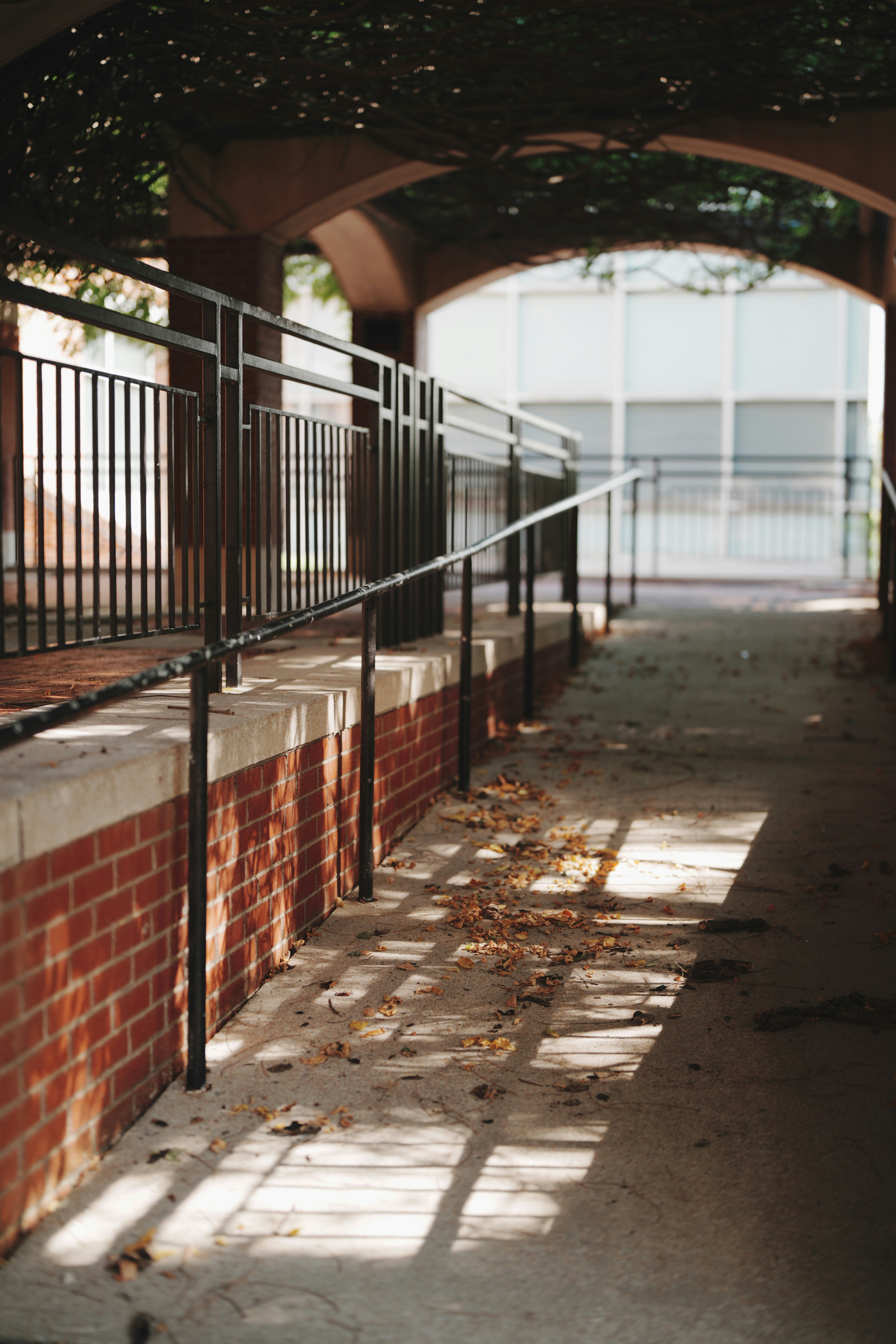 Shadows and Rails: An Autumn Corridor under a Leaf-Flecked Arch
