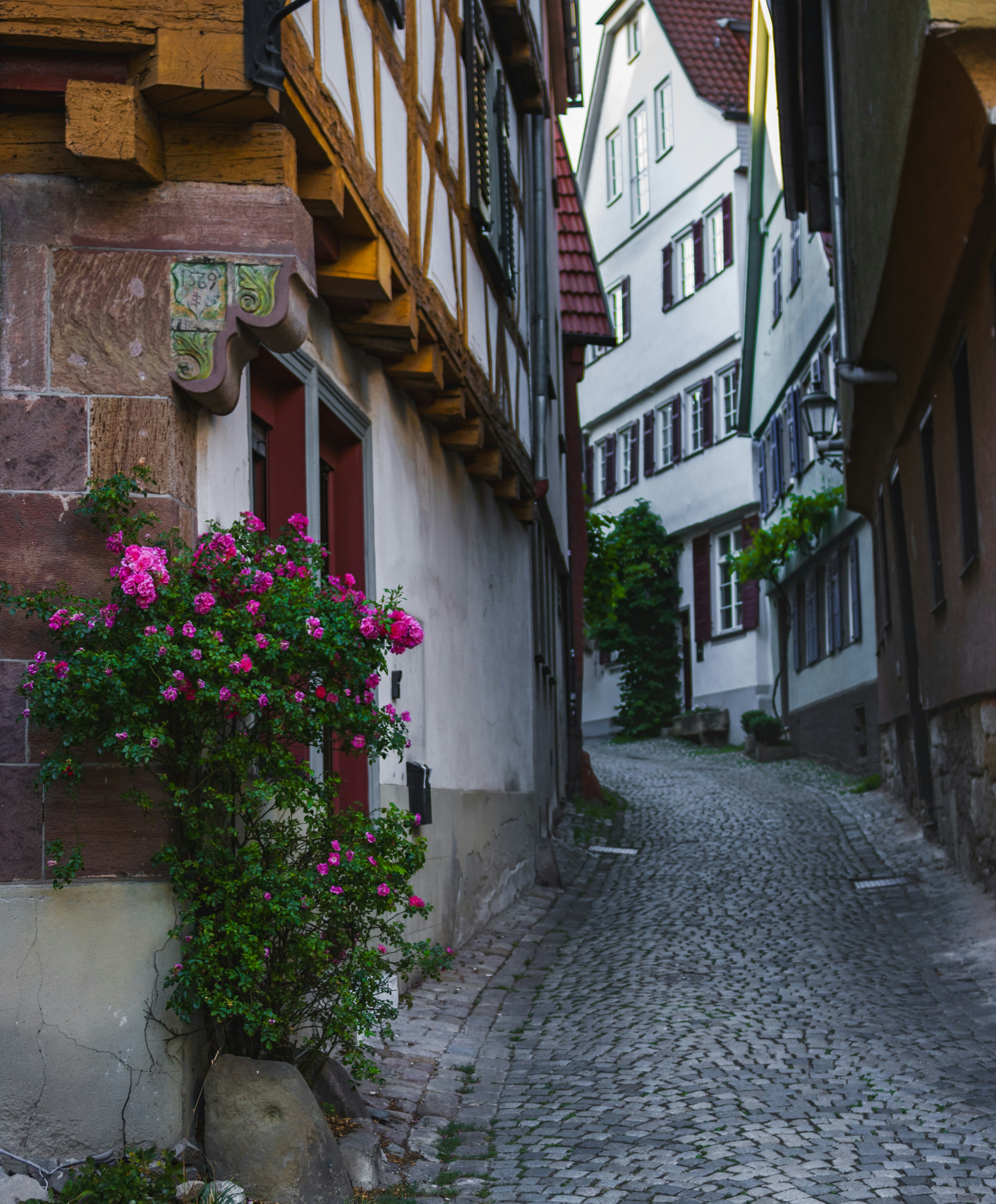 Cobbled Lane Between Timber-Framed and White Facades