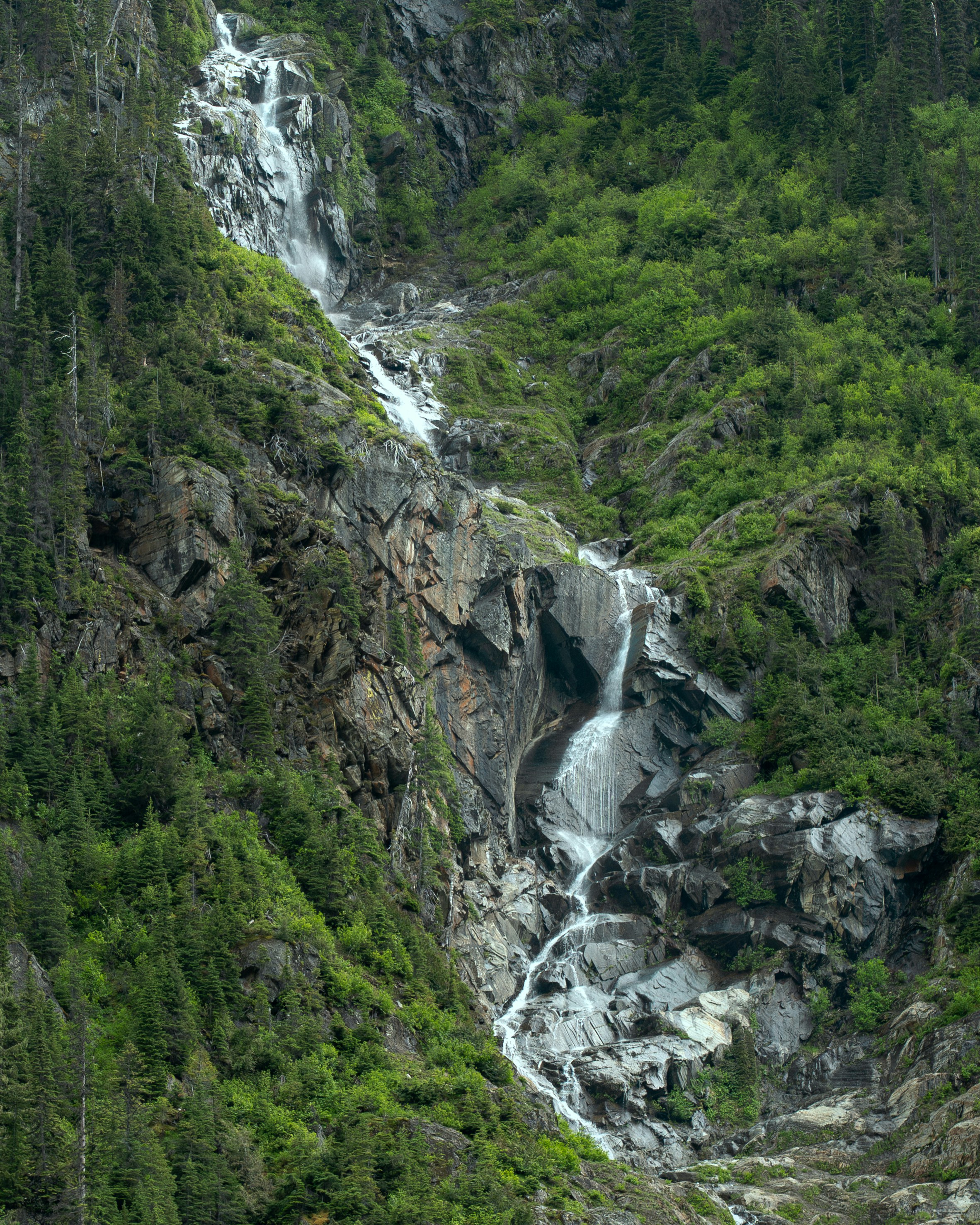 Cascade Carving Through Green Cliffs