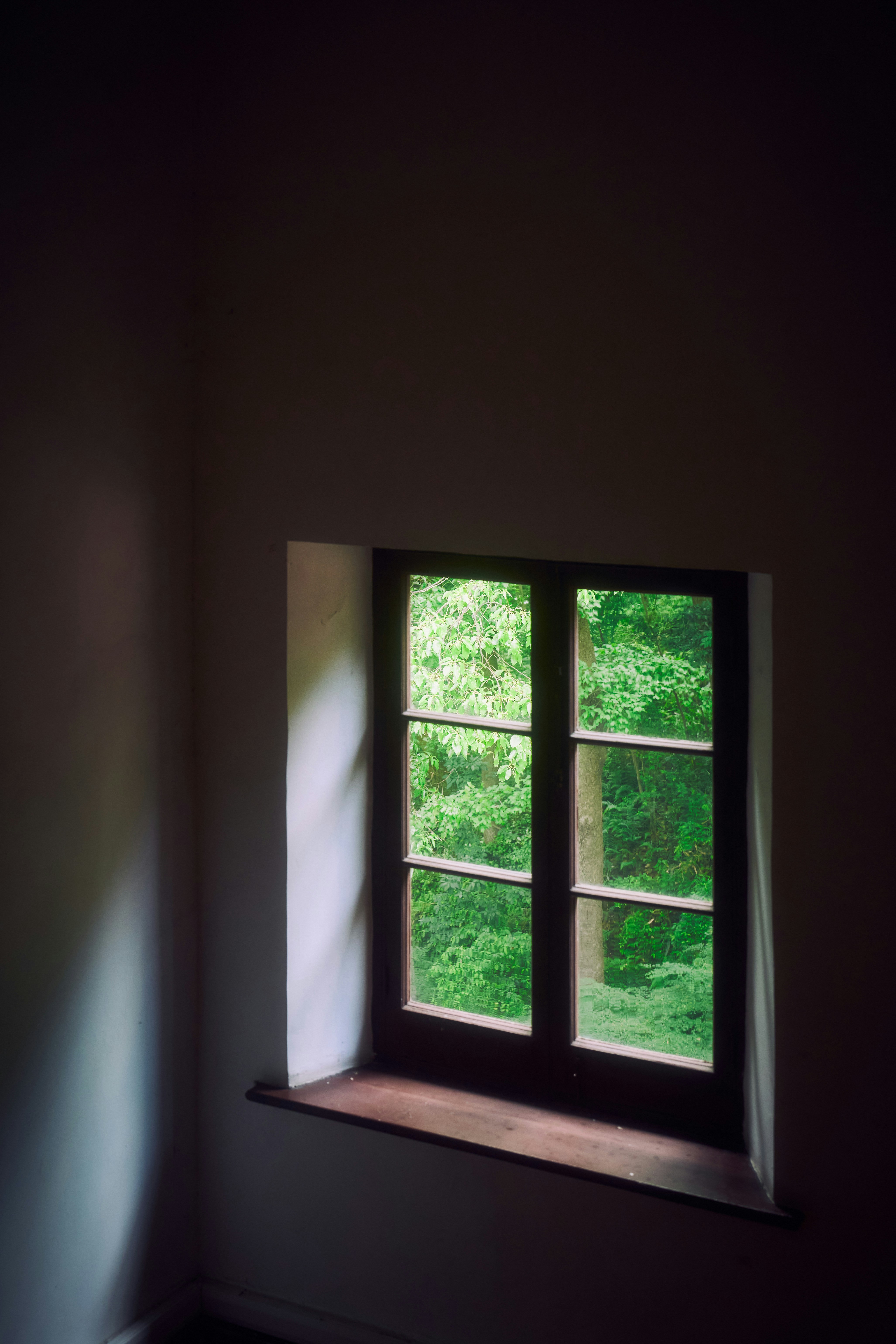 Window to Green Light: A Quiet Interior Reveals Nature Beyond the Pane