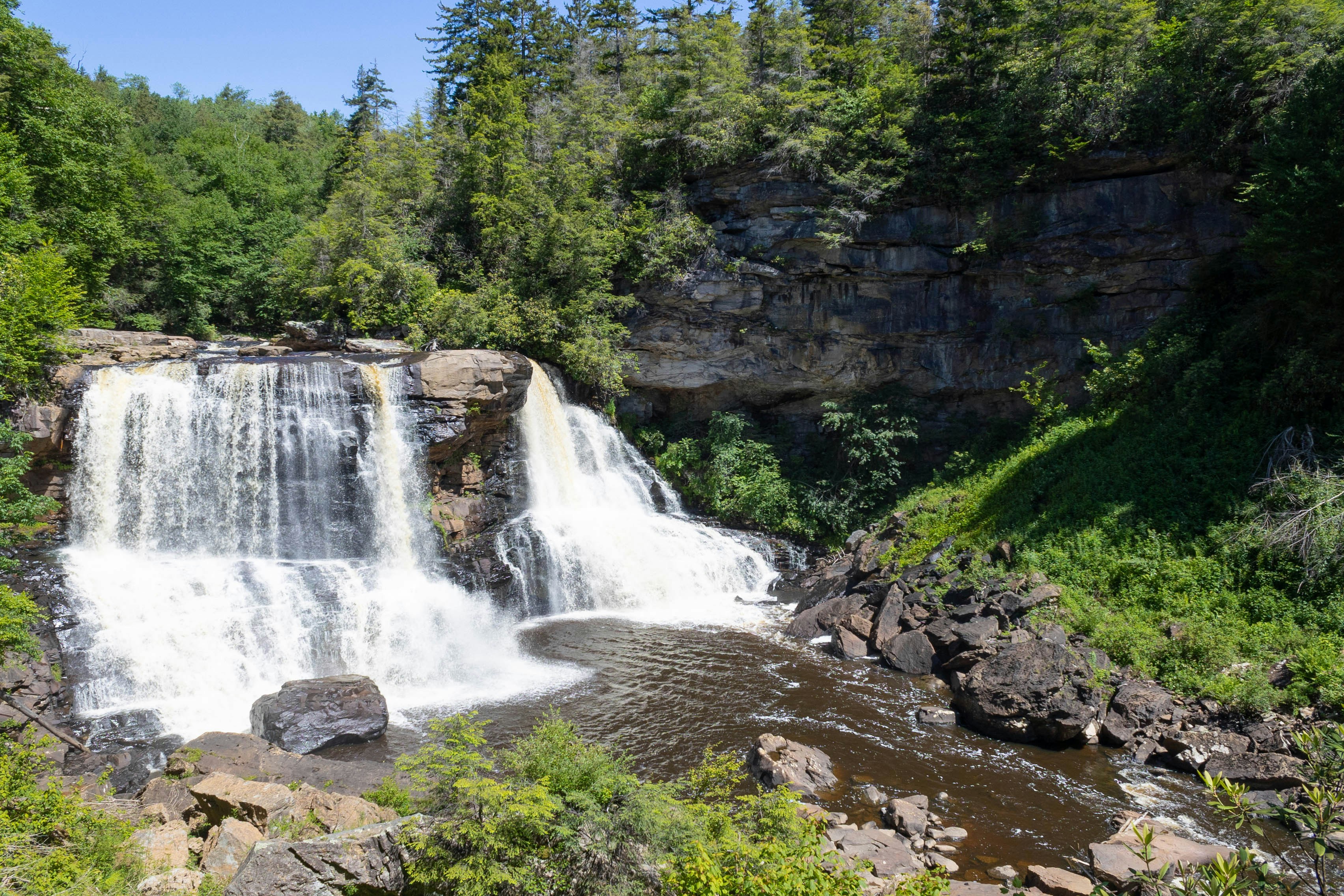 Twin Cascade Overlook: A Forested Gorge with a Wide Waterfall